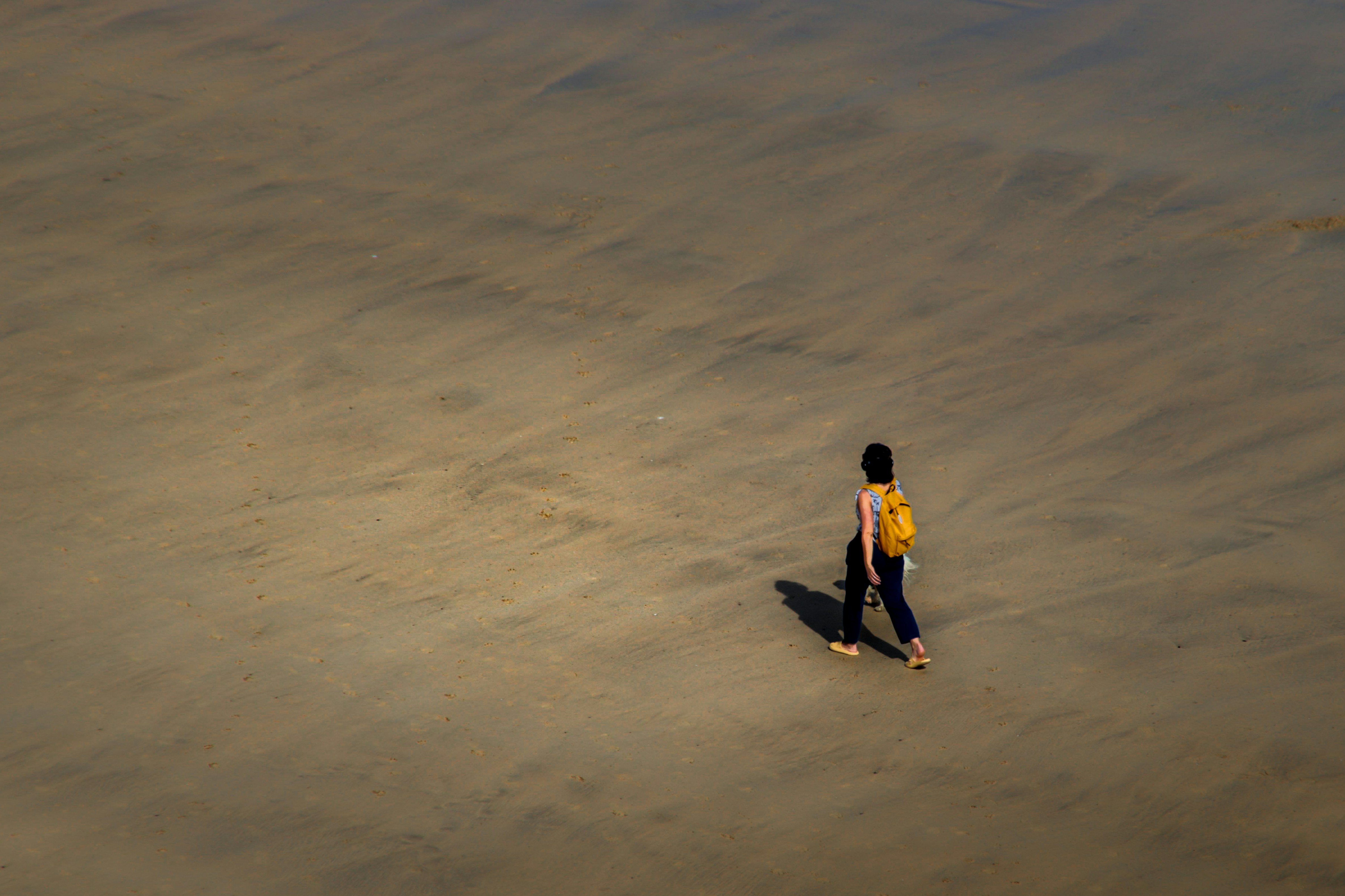 Solitary Stroll Across the Tidal Canvas