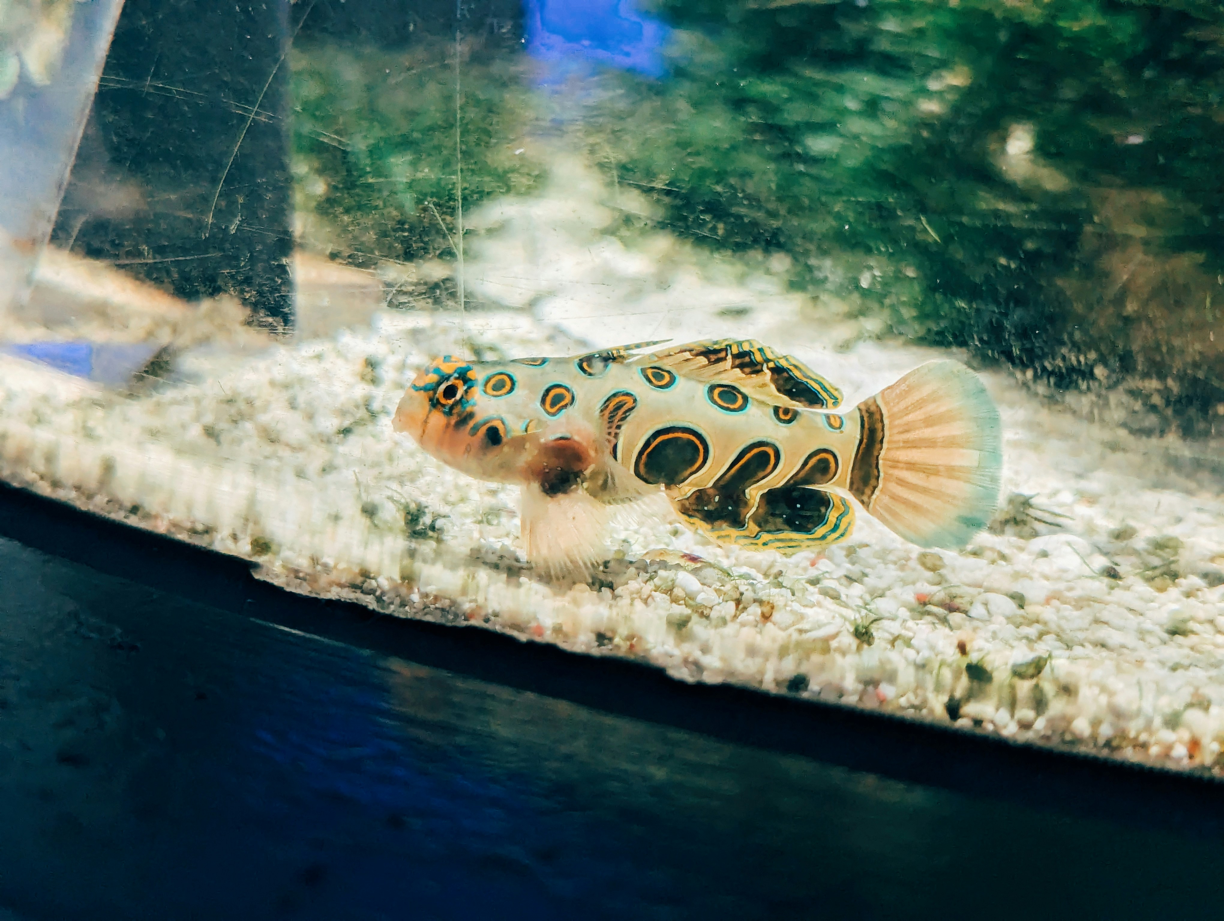 Photo by note thanun with Google Pixel 6