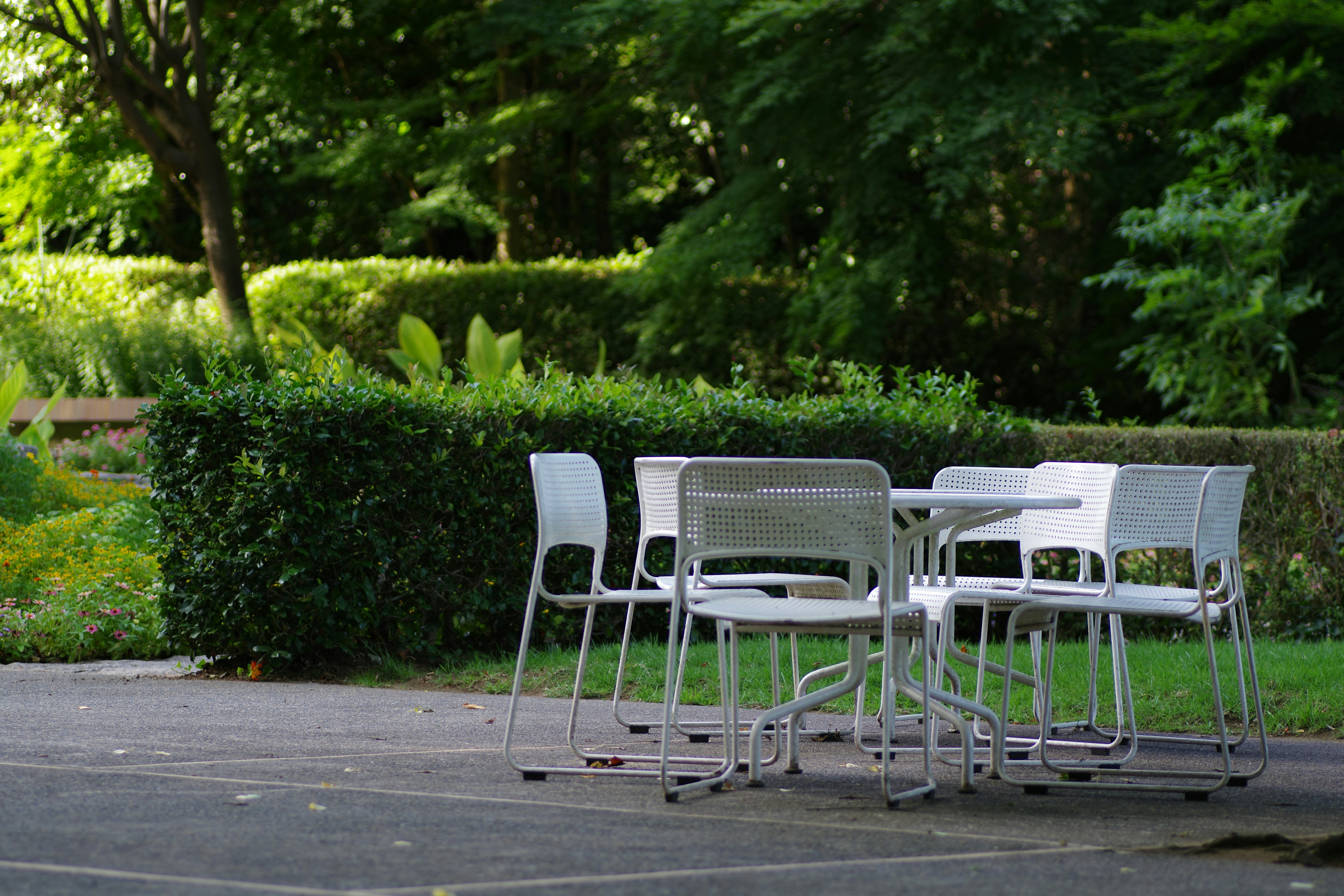 A row of white chairs sitting on top of a parking lot photo – Free ...