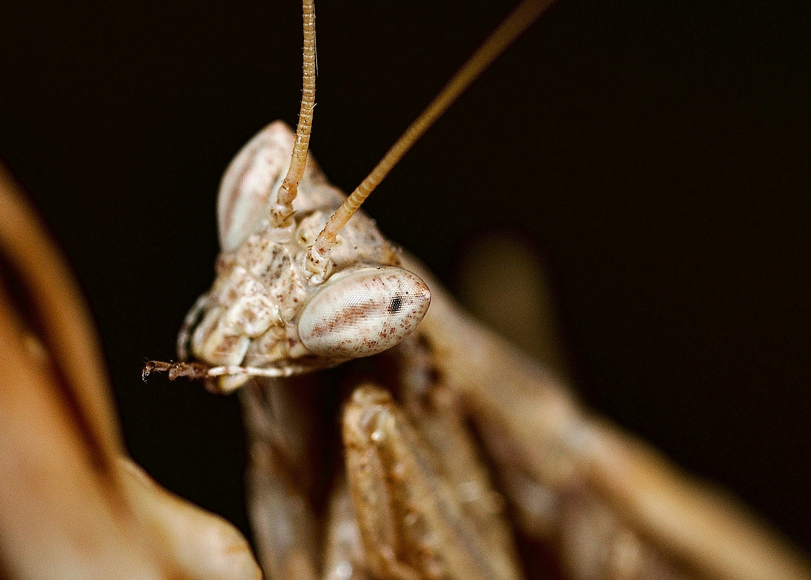 Photo by Andrey Tikhonovskiy with Canon EOS 7D