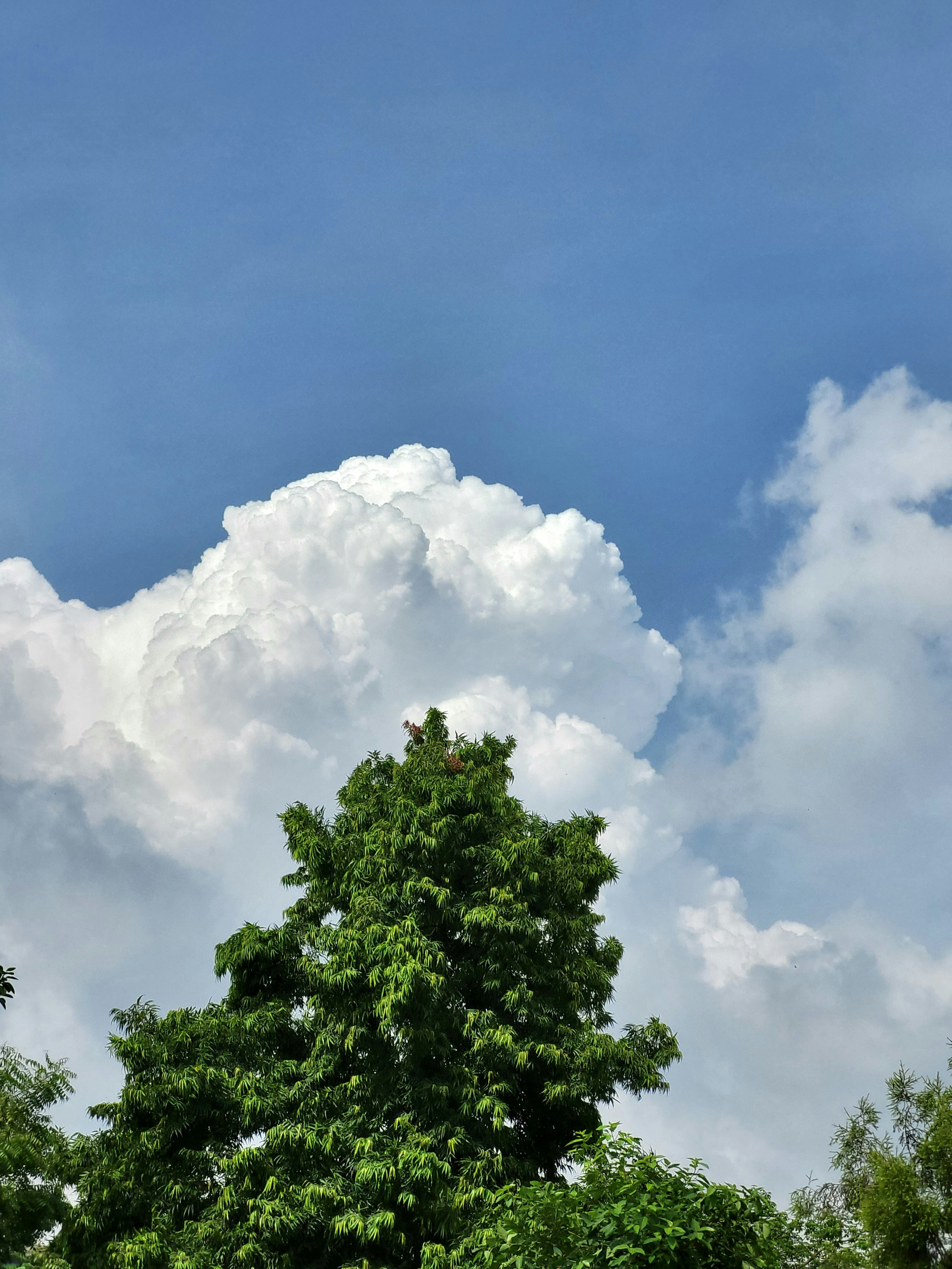 Photo by Vaibhav Singh with Samsung Galaxy S21 FE