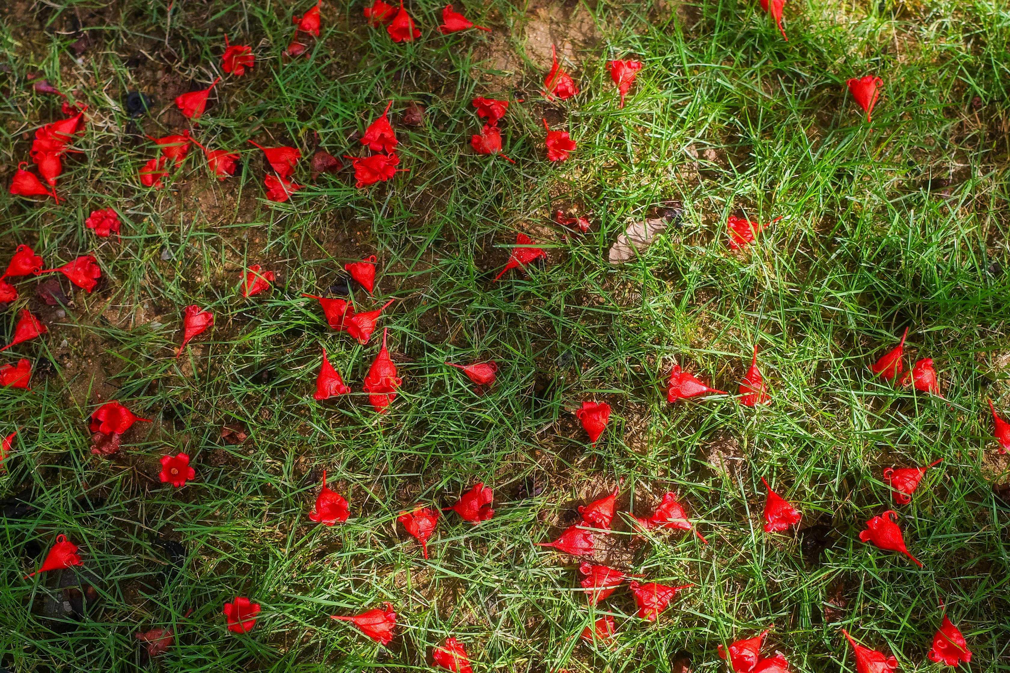 Photo by DL314 Lin with Ricoh GR III HDF