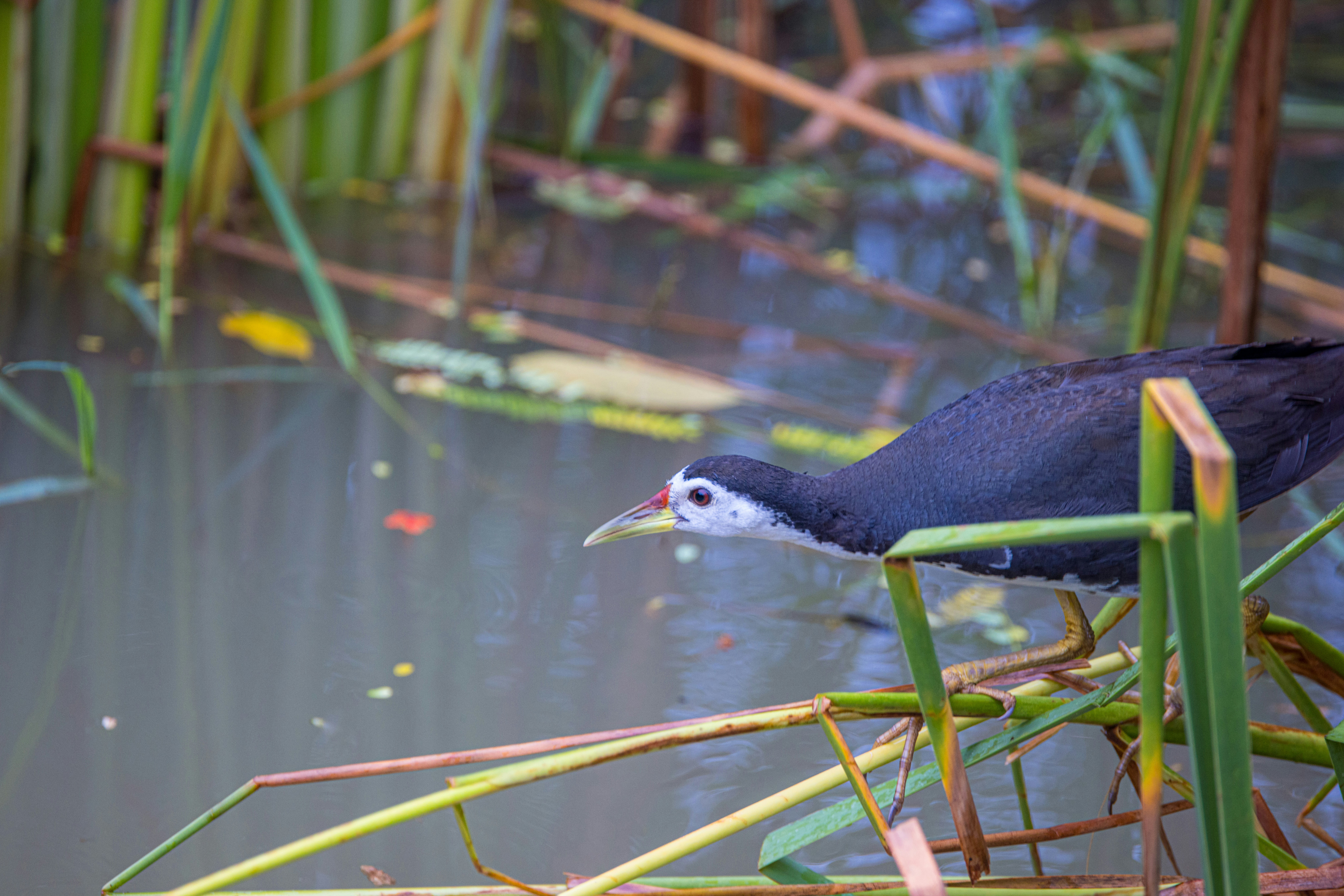 Photo by DL314 Lin with Canon EOS R5