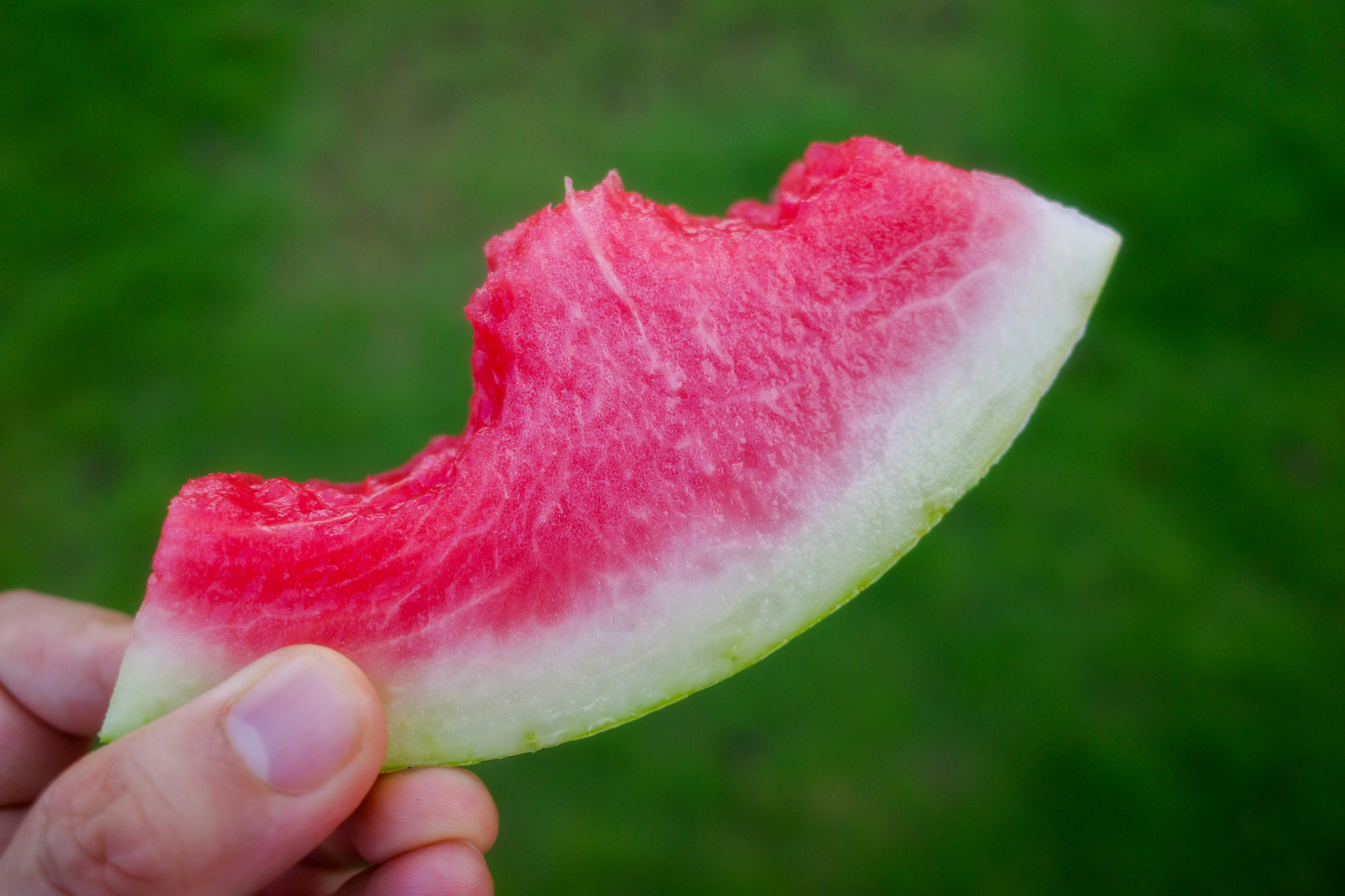 Photo by DL314 Lin with Ricoh GR III HDF