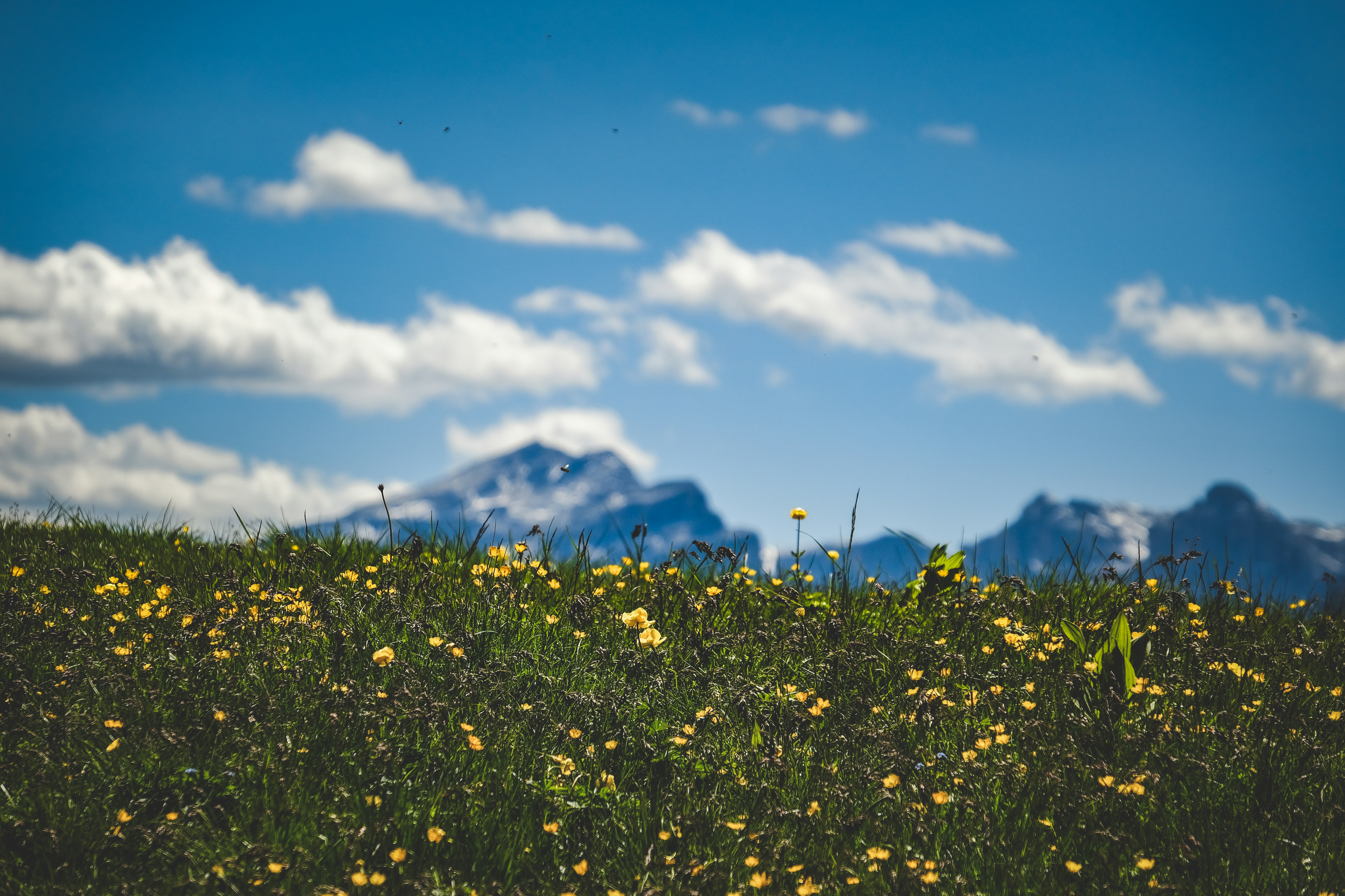 Photo by Francesco Ungaro with Fujifilm X-T4