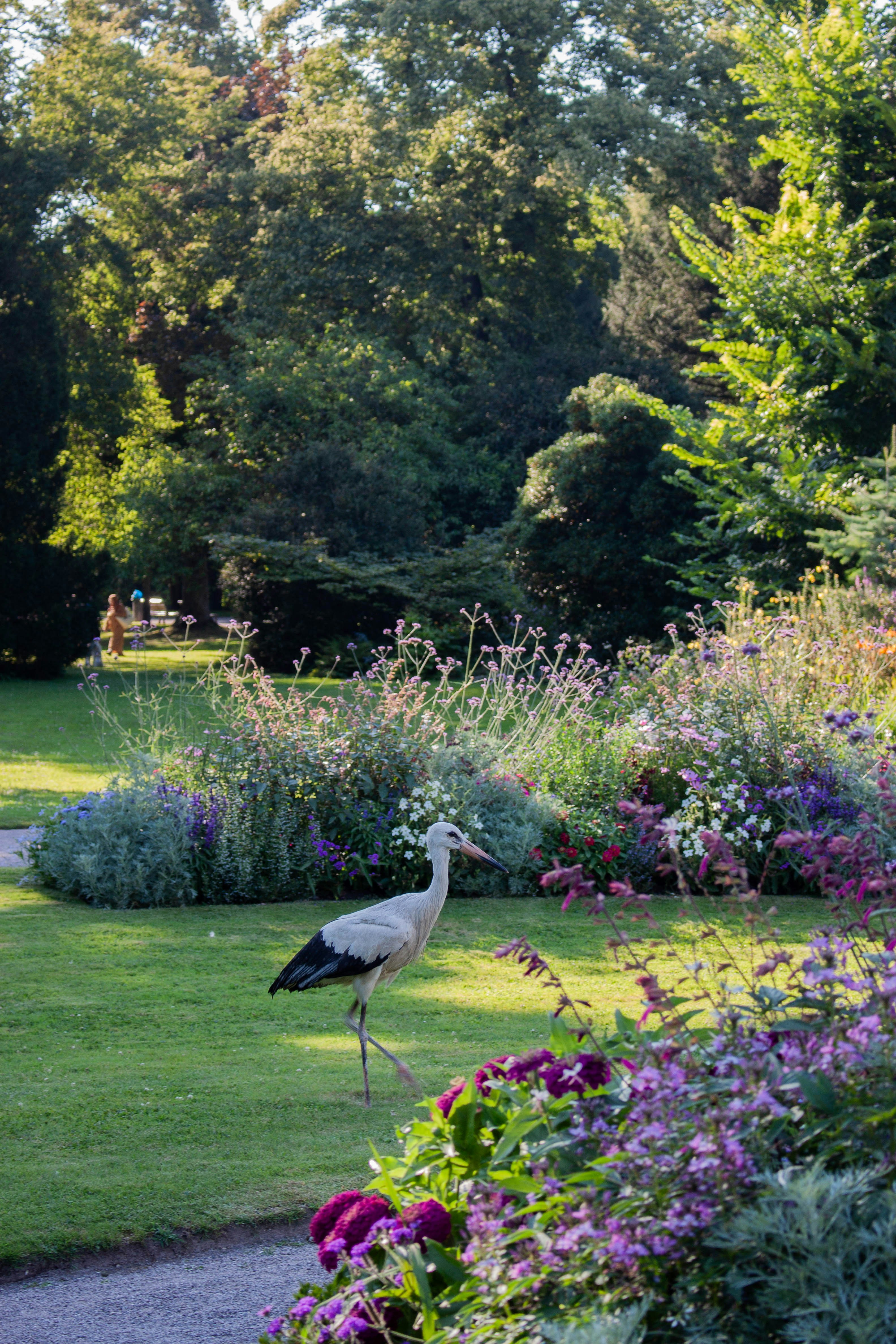 Photo by Kamilla Isalieva with Canon EOS 500D