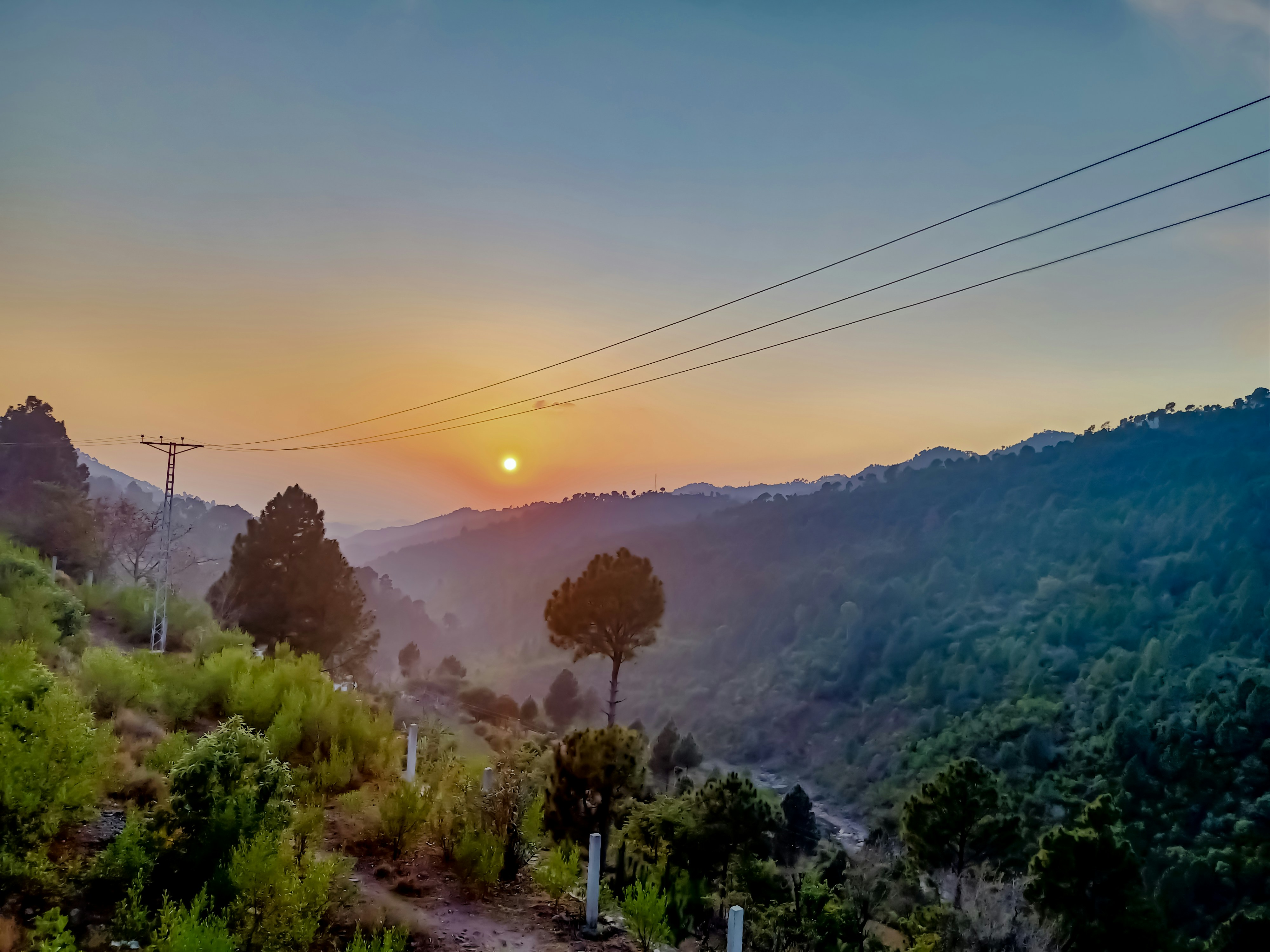 Landscape photograph of a sunrise over a forested valley, with silhouetted pines and diagonal power lines cutting across the scene.