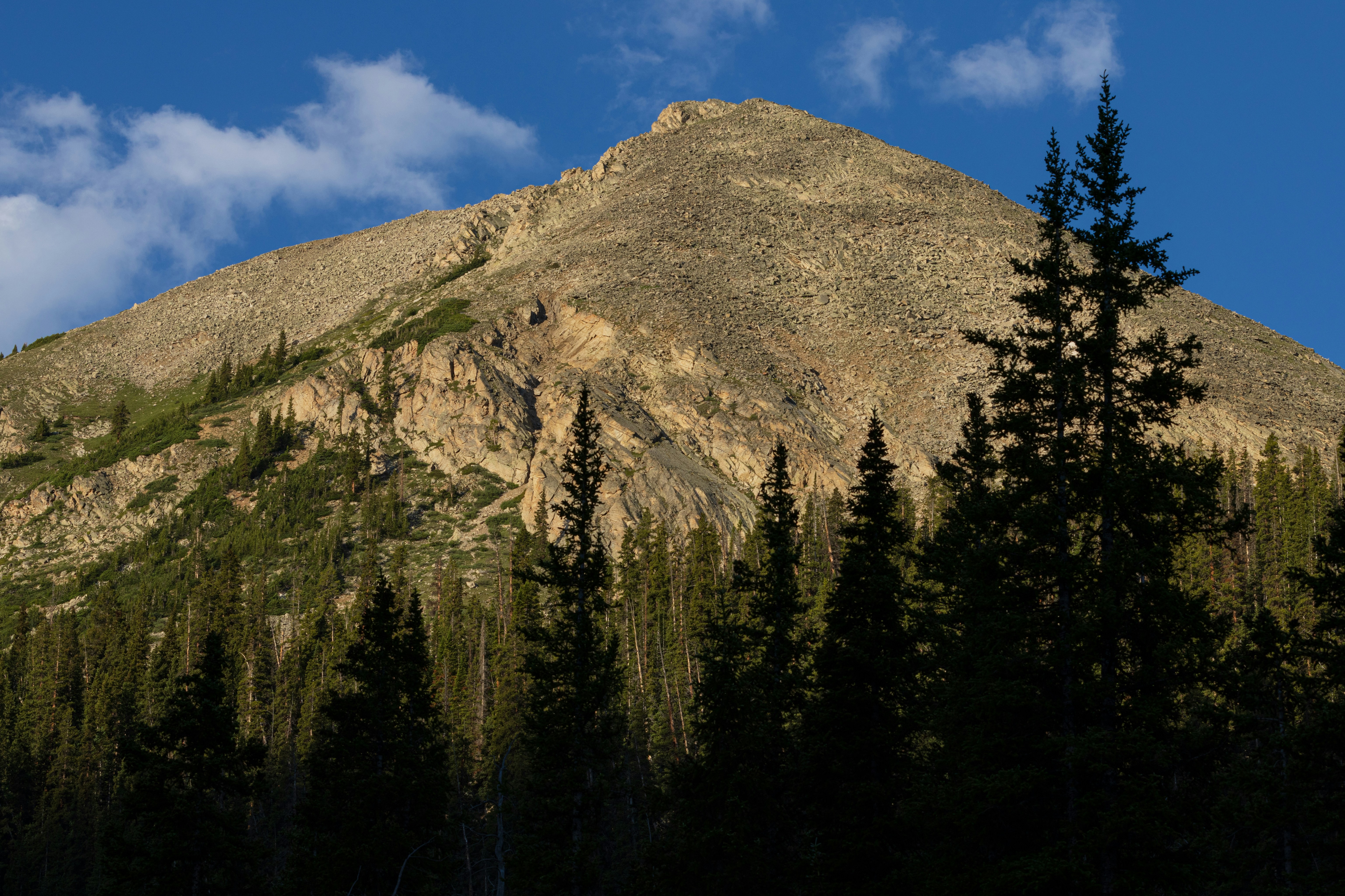 Mountain peak bathed in golden sunlight, framed by silhouettes of tall pine trees against a clear blue sky.