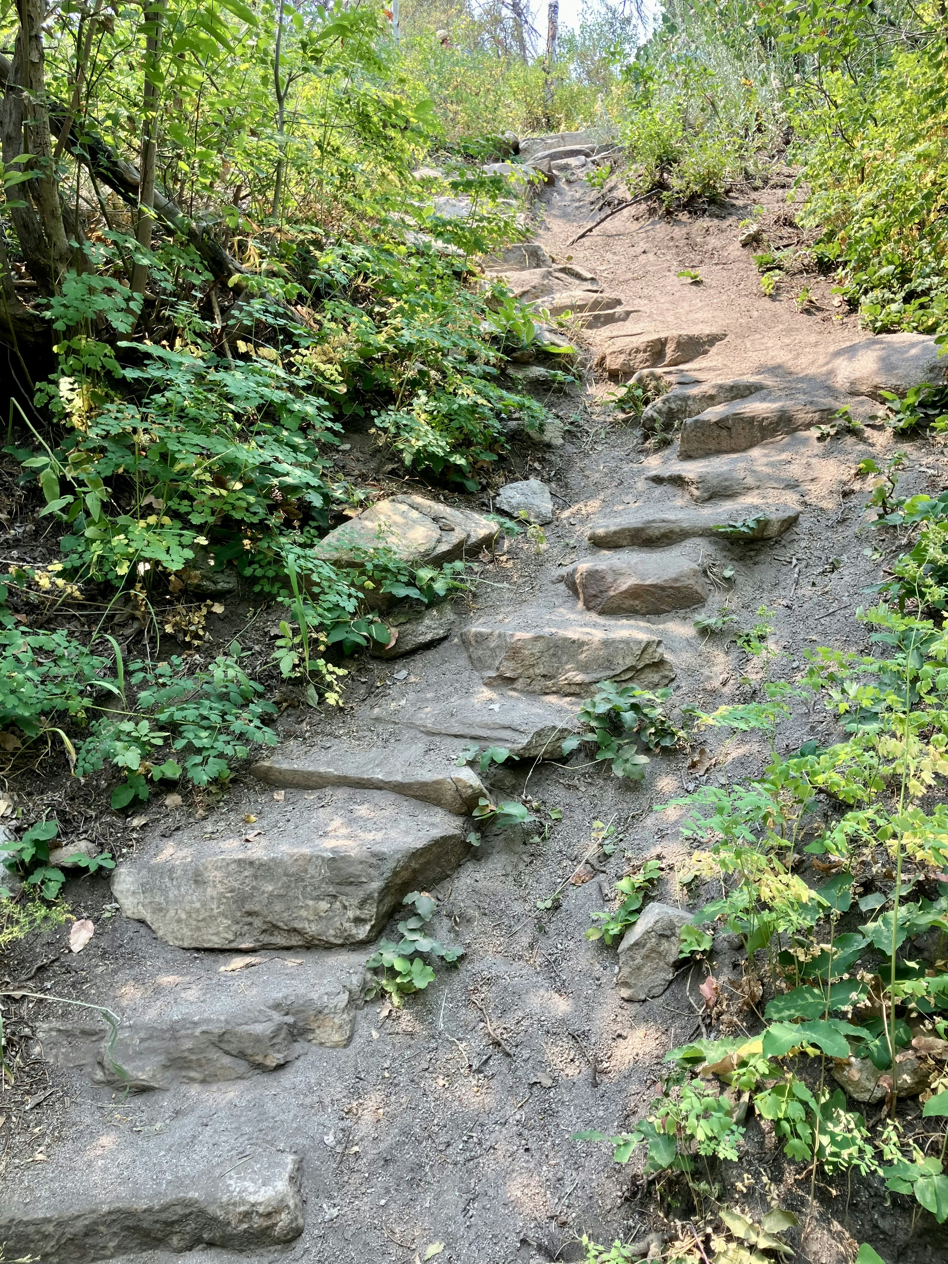 Photo by Anneal K Hardcastle with Apple iPhone SE