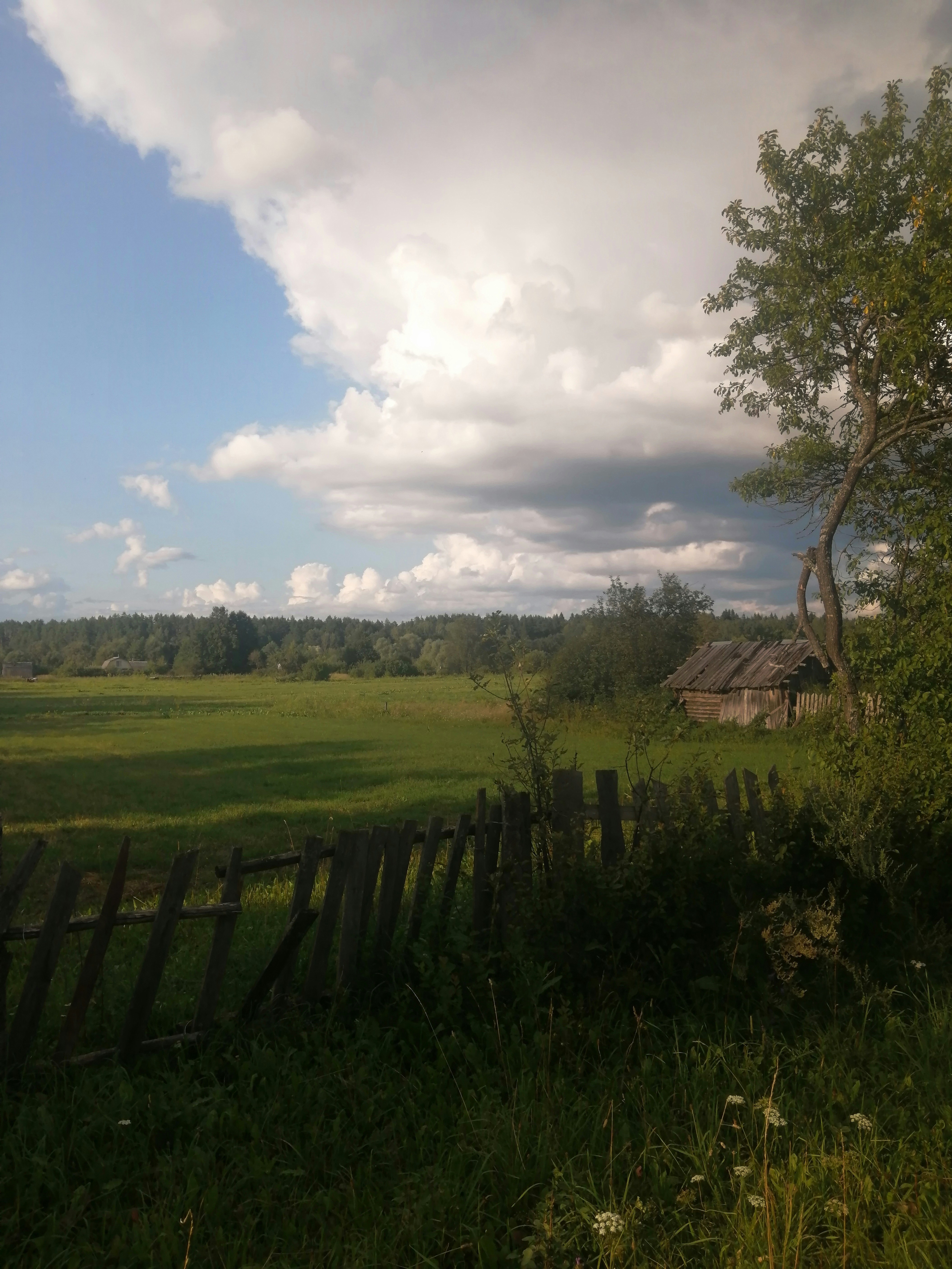 Photo by Irina Spotkai with Huawei P30 Lite