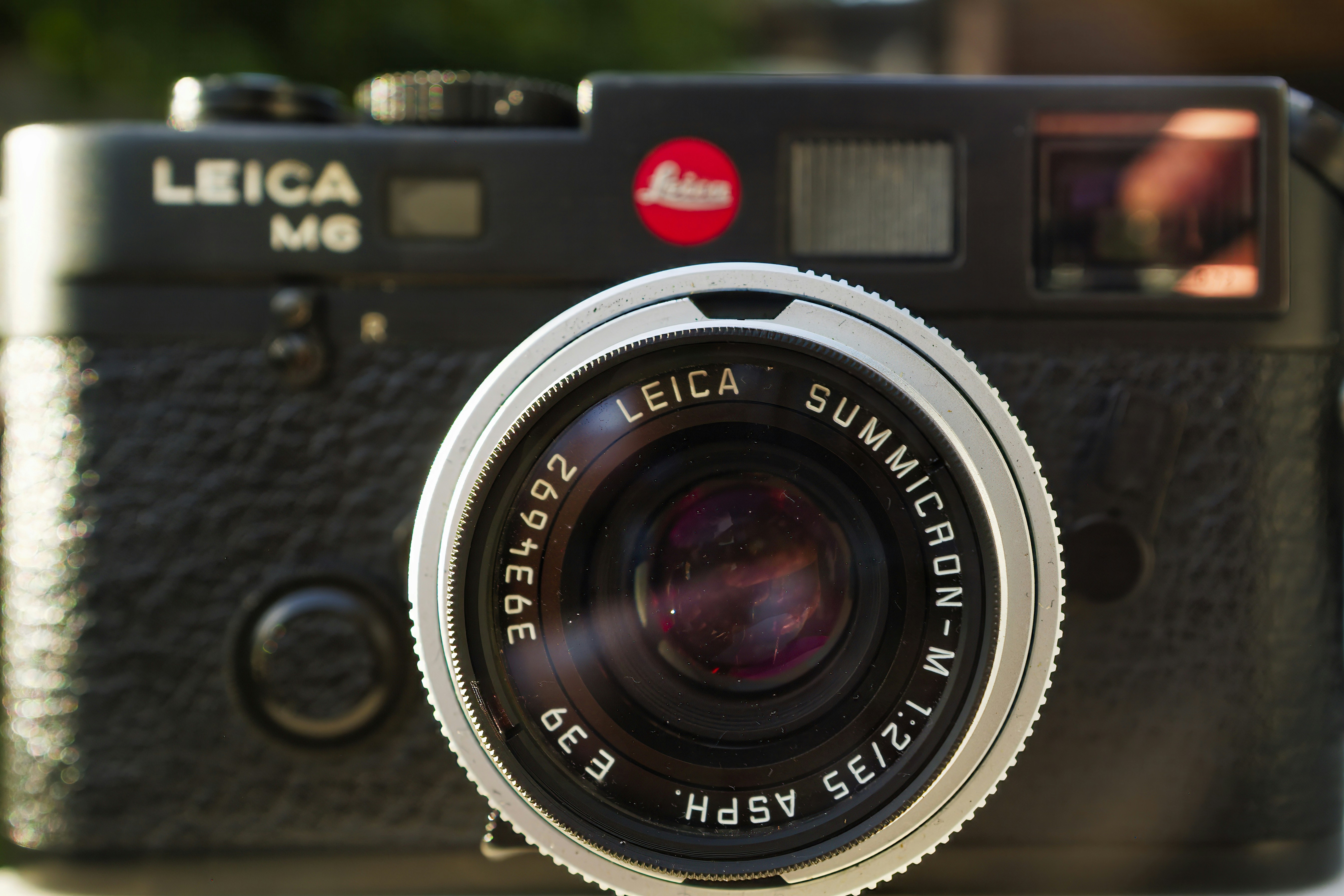 Heritage in Metal: Leica M6 with Summicron 50mm Close-Up