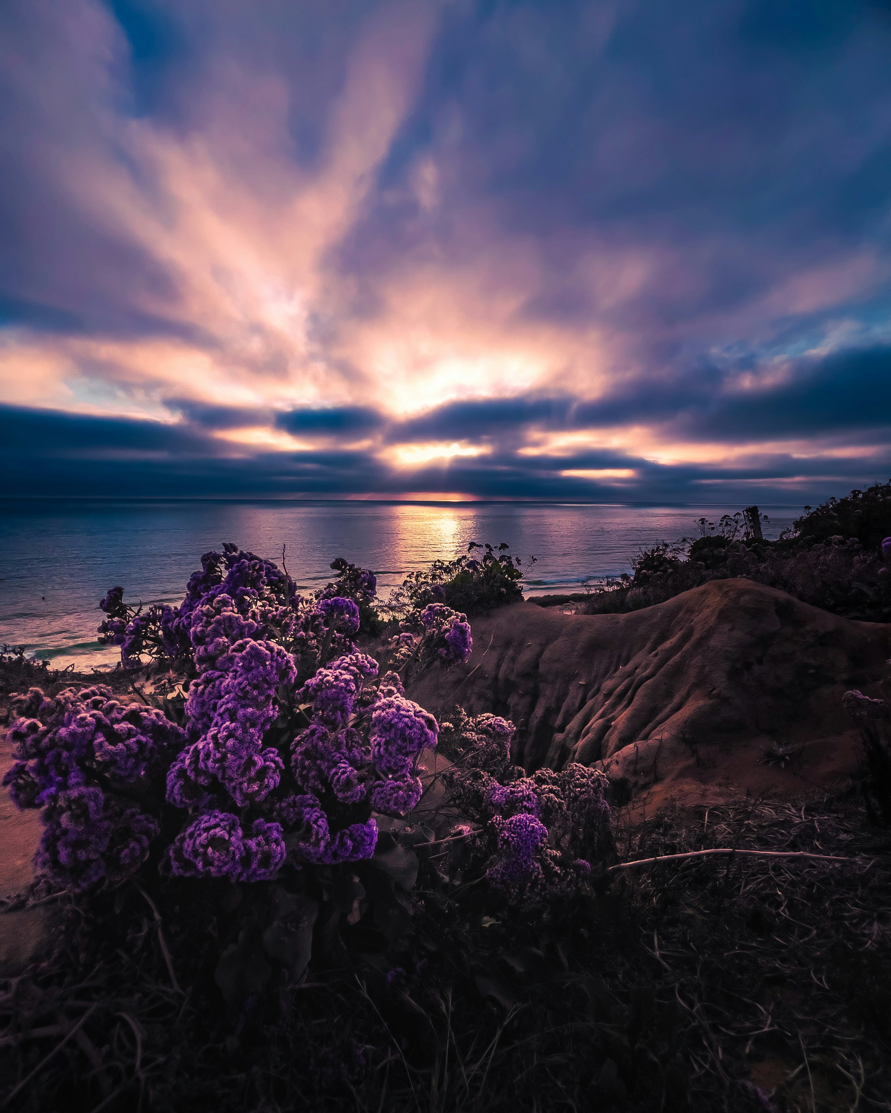 Violet Shoreline Blooms Beneath a Fiery Dusk Sky