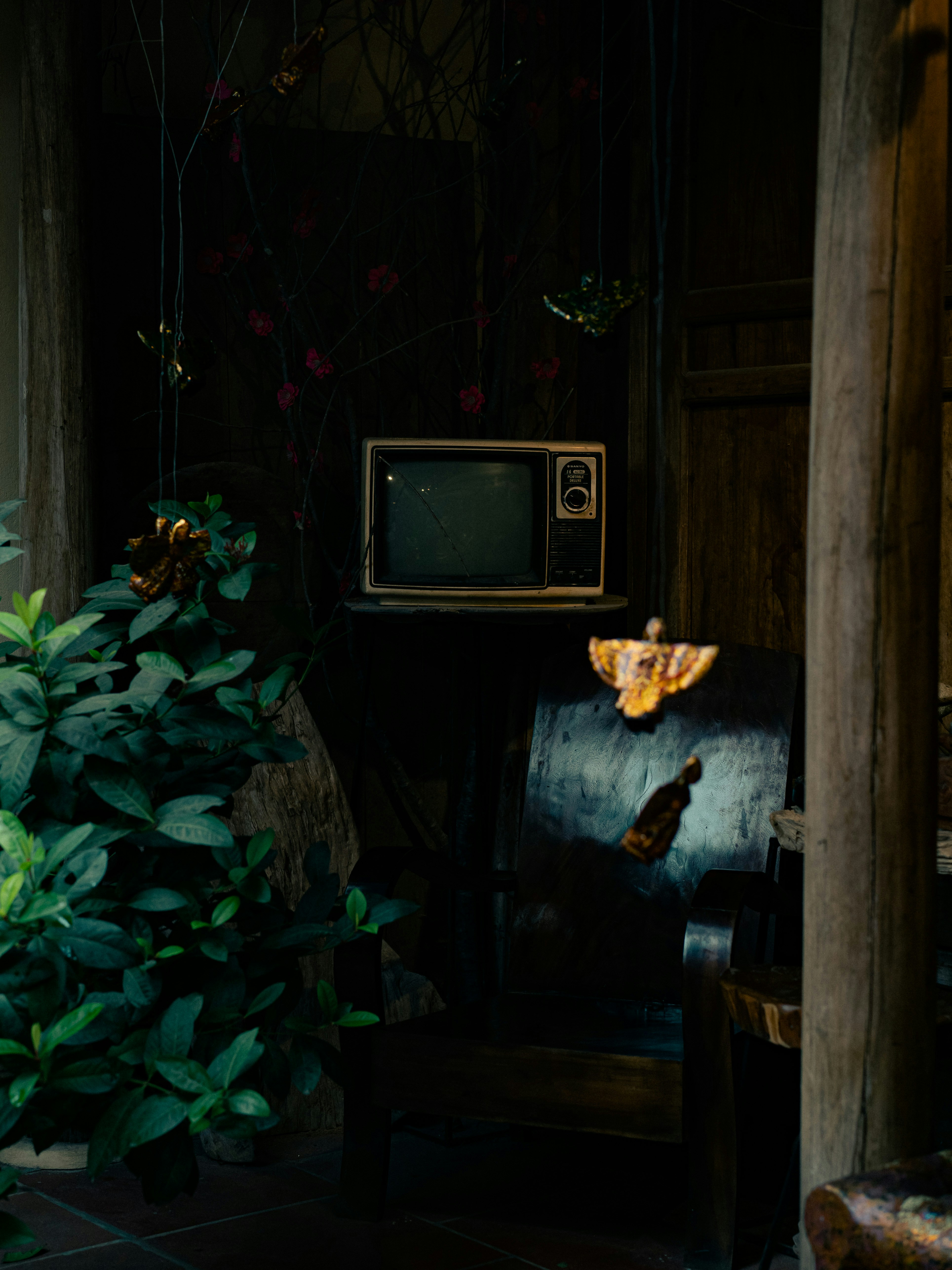 Static in the Greenroom: A Vintage CRT Surrounded by Plants