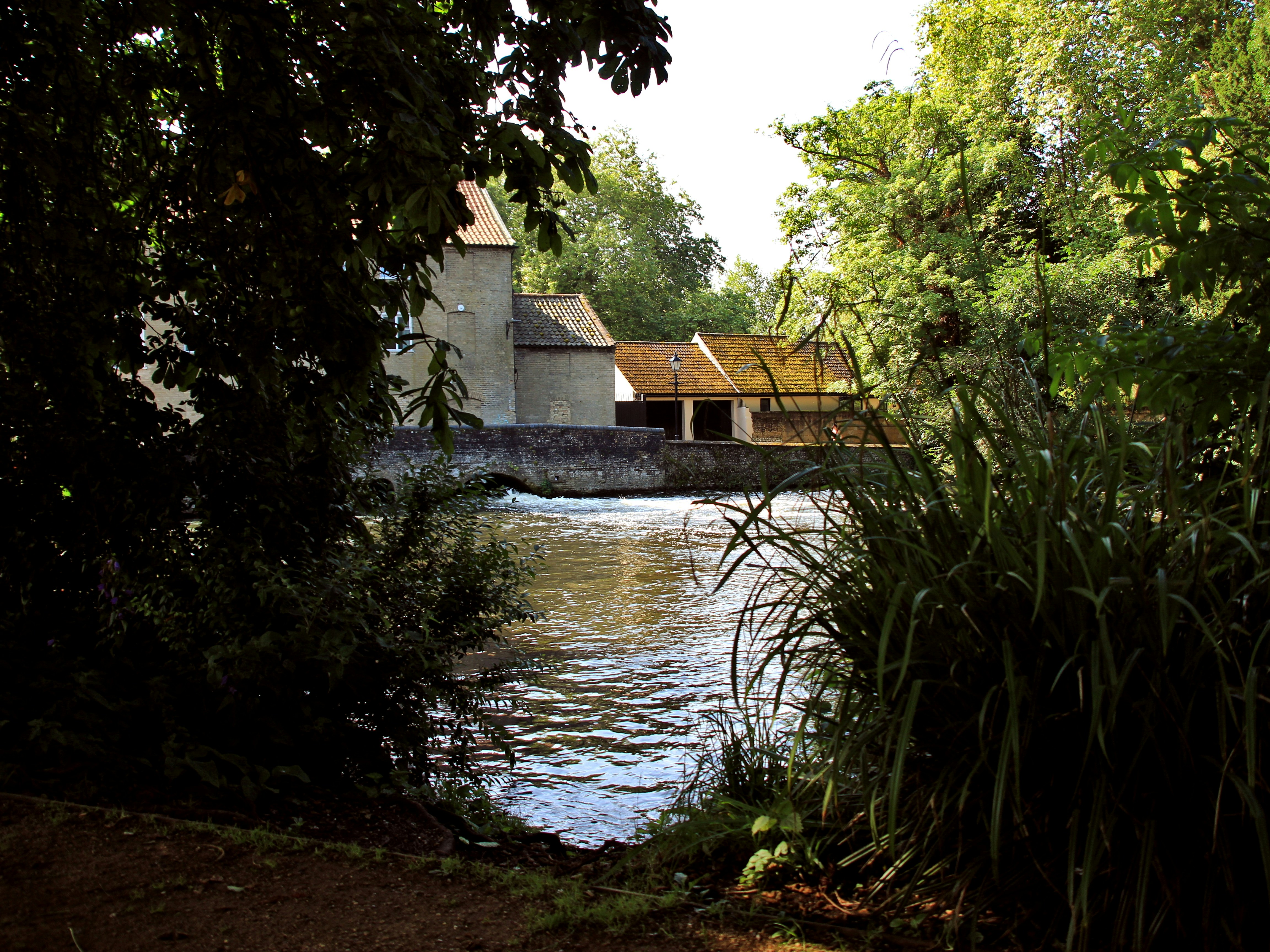 Photo by Joseph Malone with Canon EOS 1200D