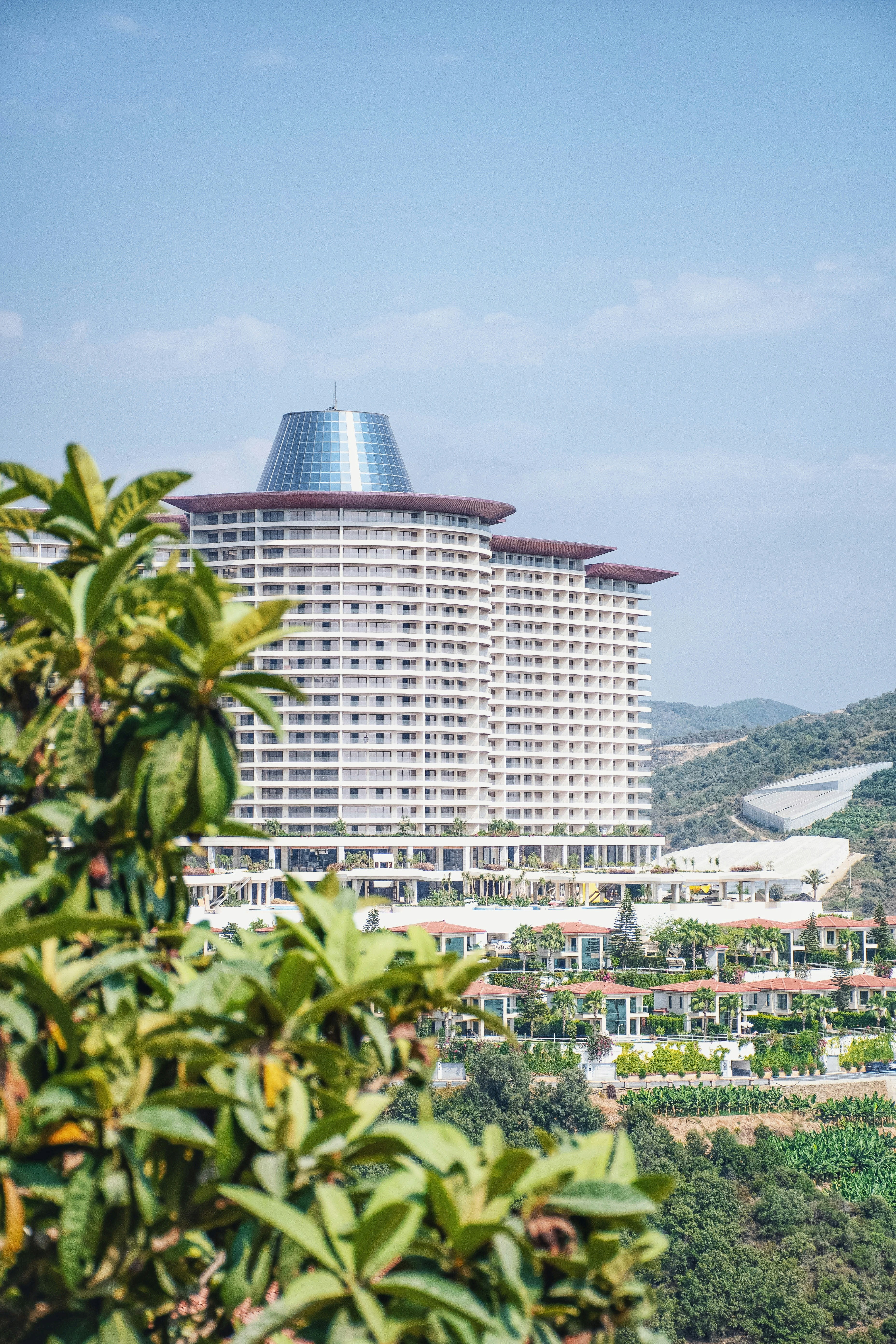 Tropical Resort Tower Rising Beyond Framing Foliage