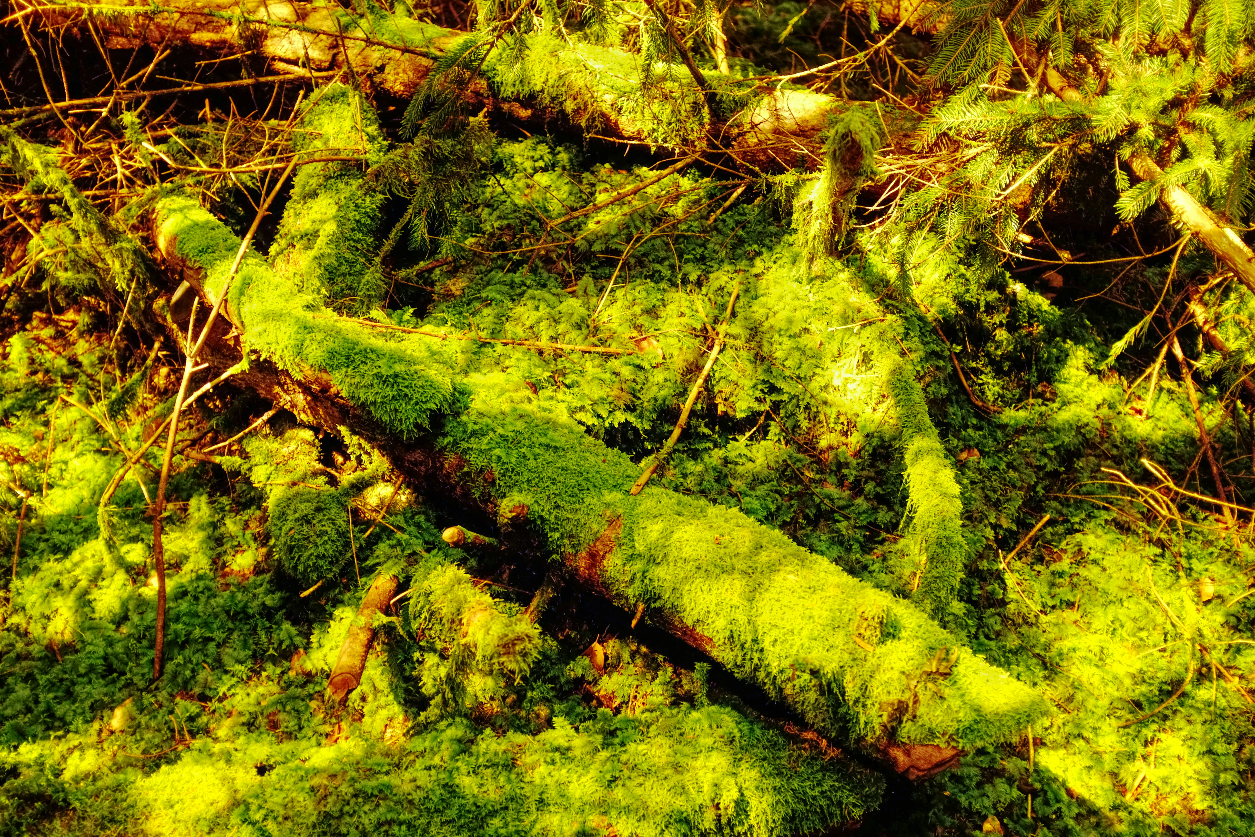 Photo by Yves Moret with Fujifilm X100S