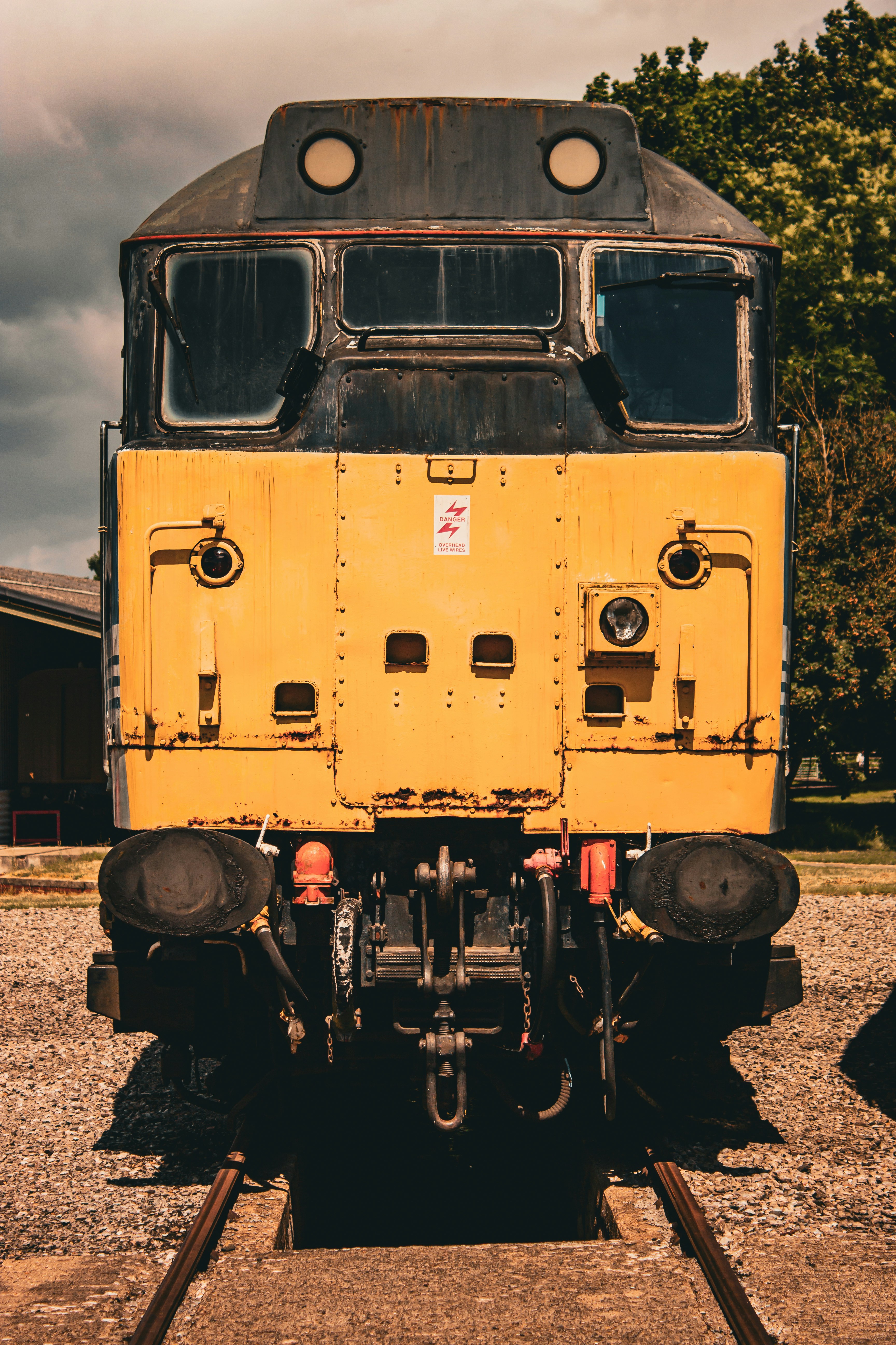 Photo by Lincoln Holley with Canon EOS 700D