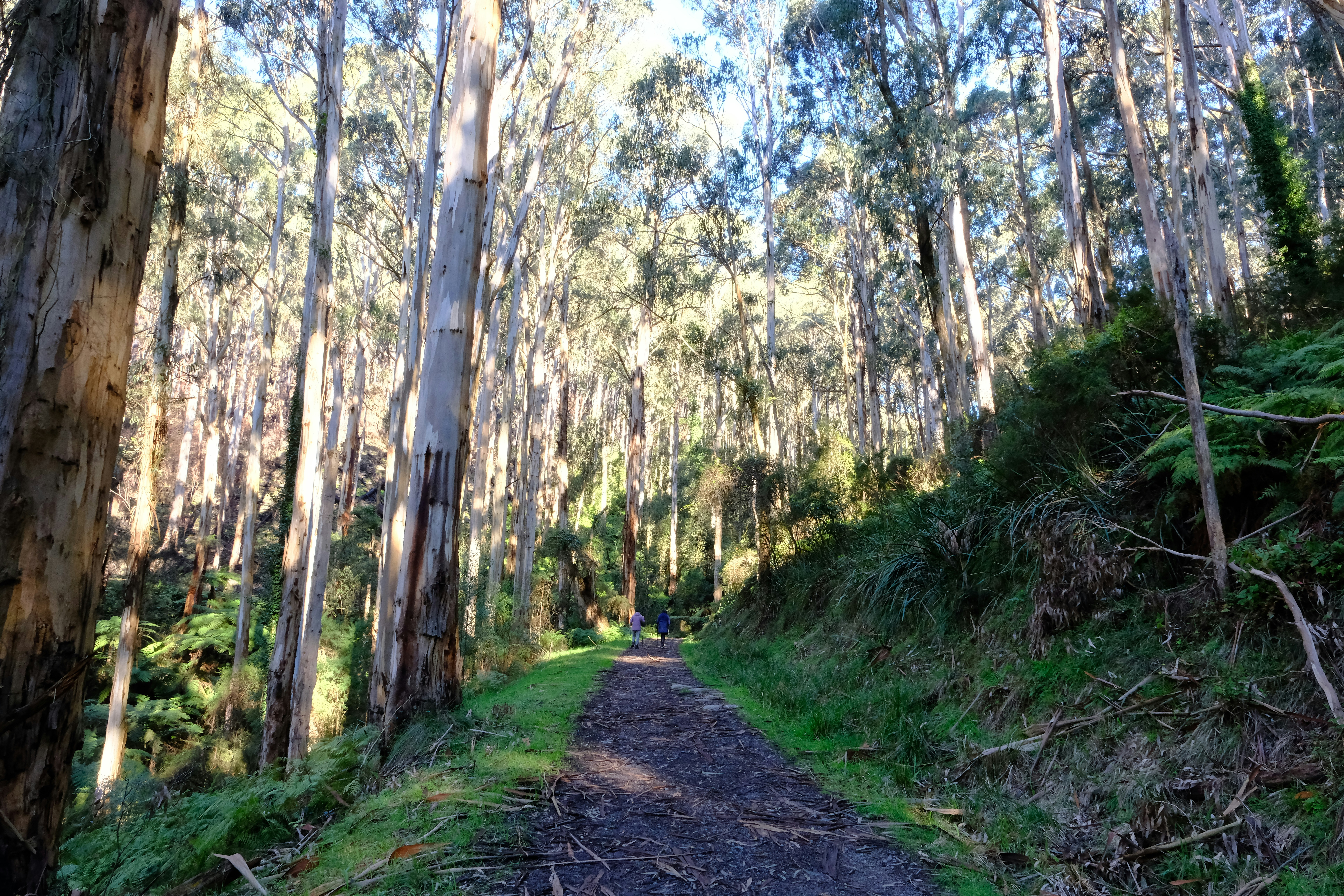 Photo by Walter Coppola with Fujifilm X-H2