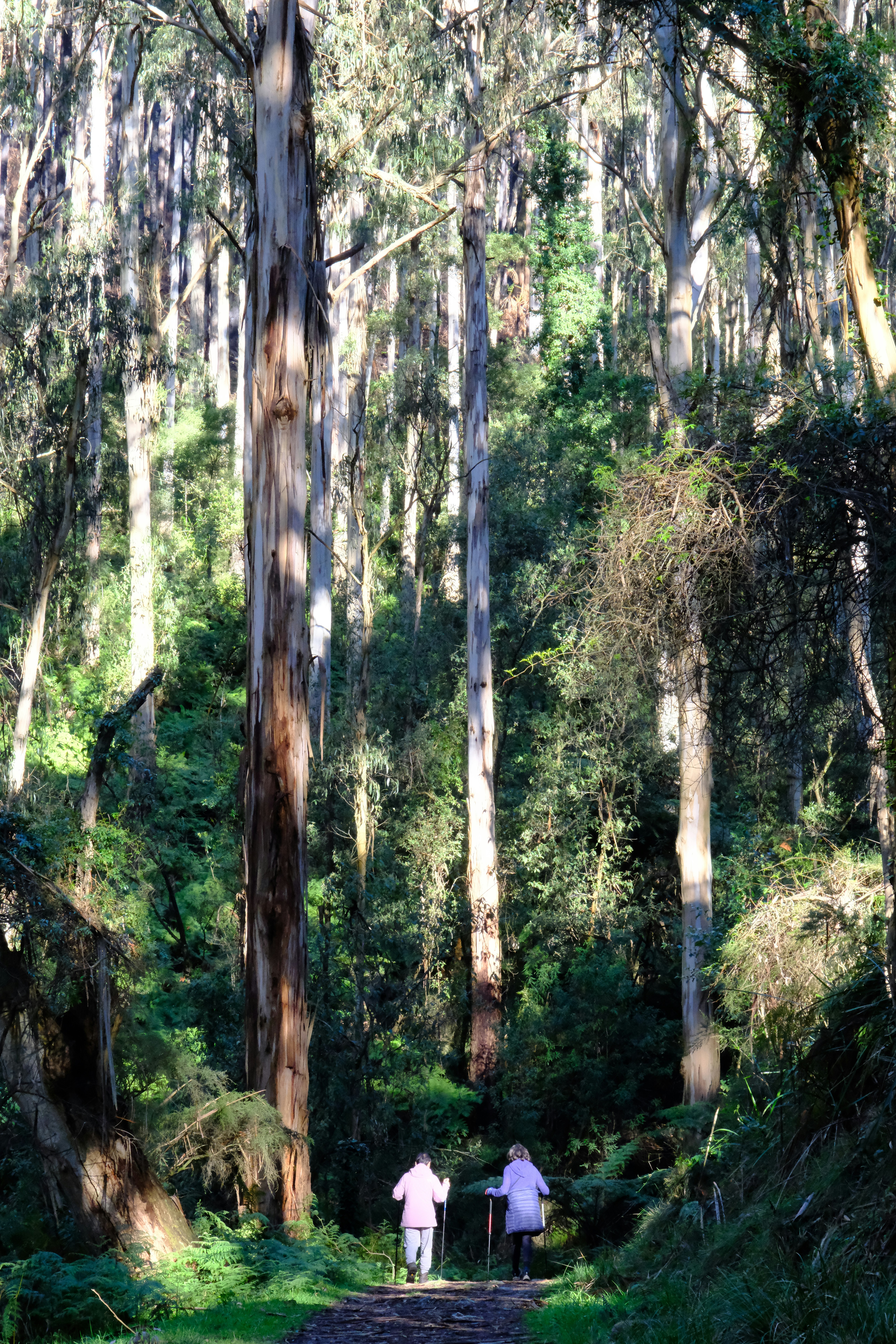 Photo by Walter Coppola with Fujifilm X-H2