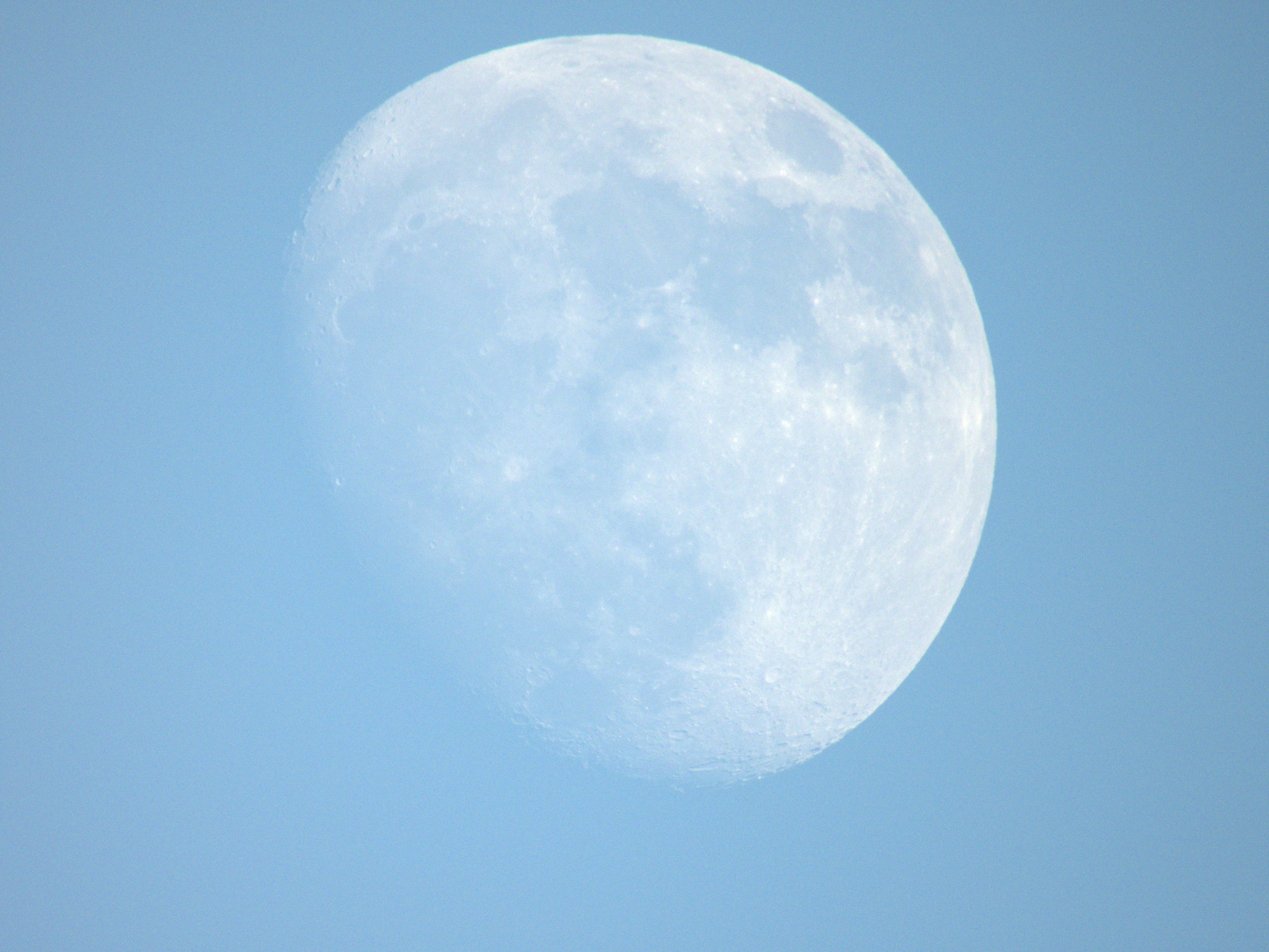 A plane flying in front of a full moon photo – Free Outdoors Image on ...