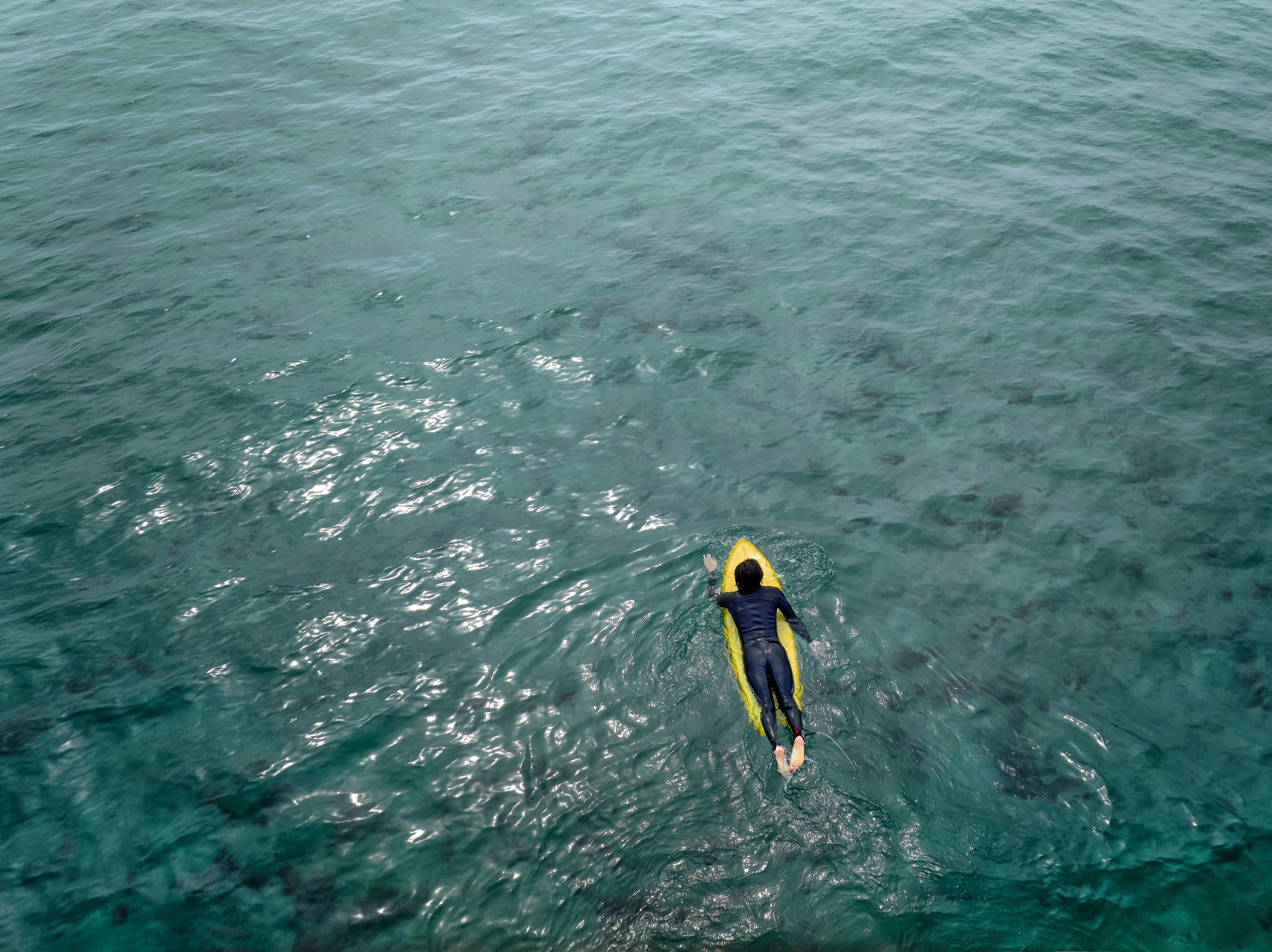 A person in a body of water with a surfboard photo – Free 日本、高知県 Image ...