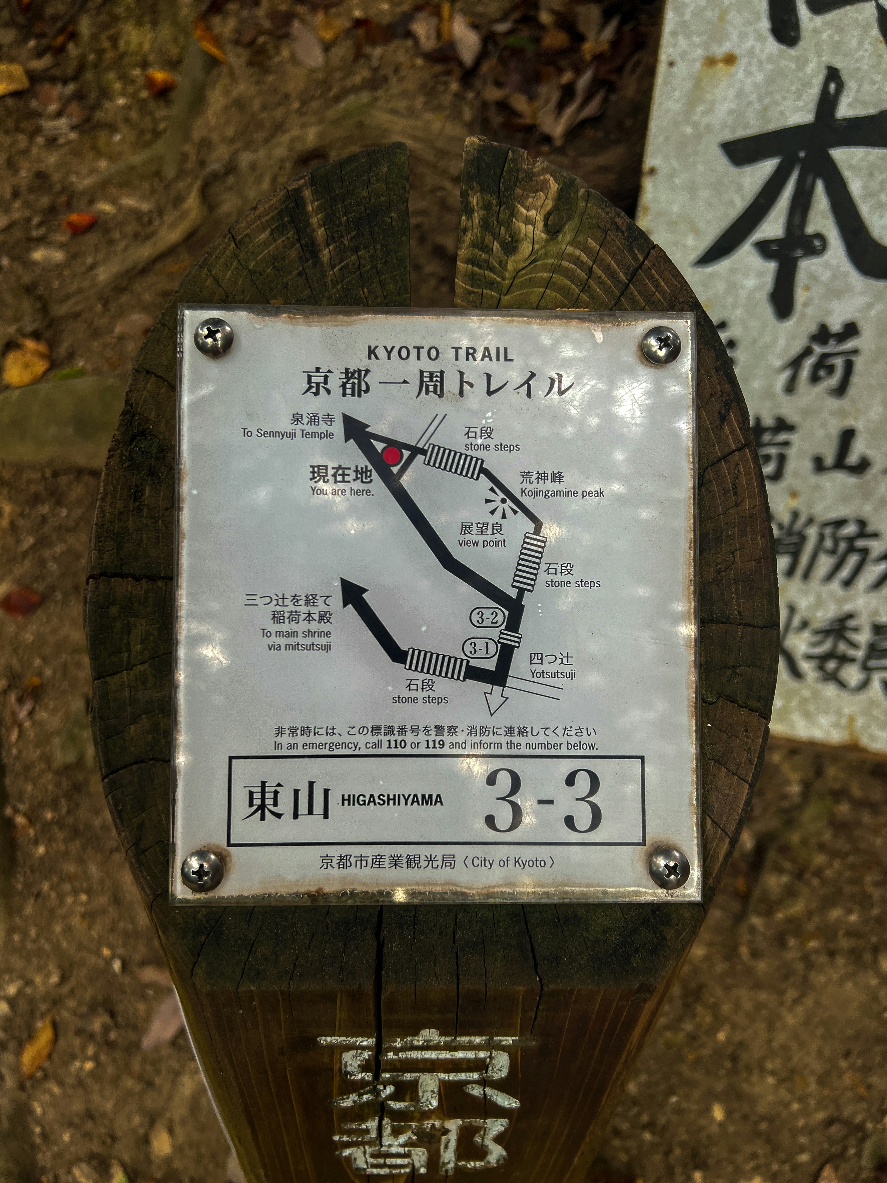 Kyoto Trail Signboard on a Weathered Post: A Forest Marker for Hikers