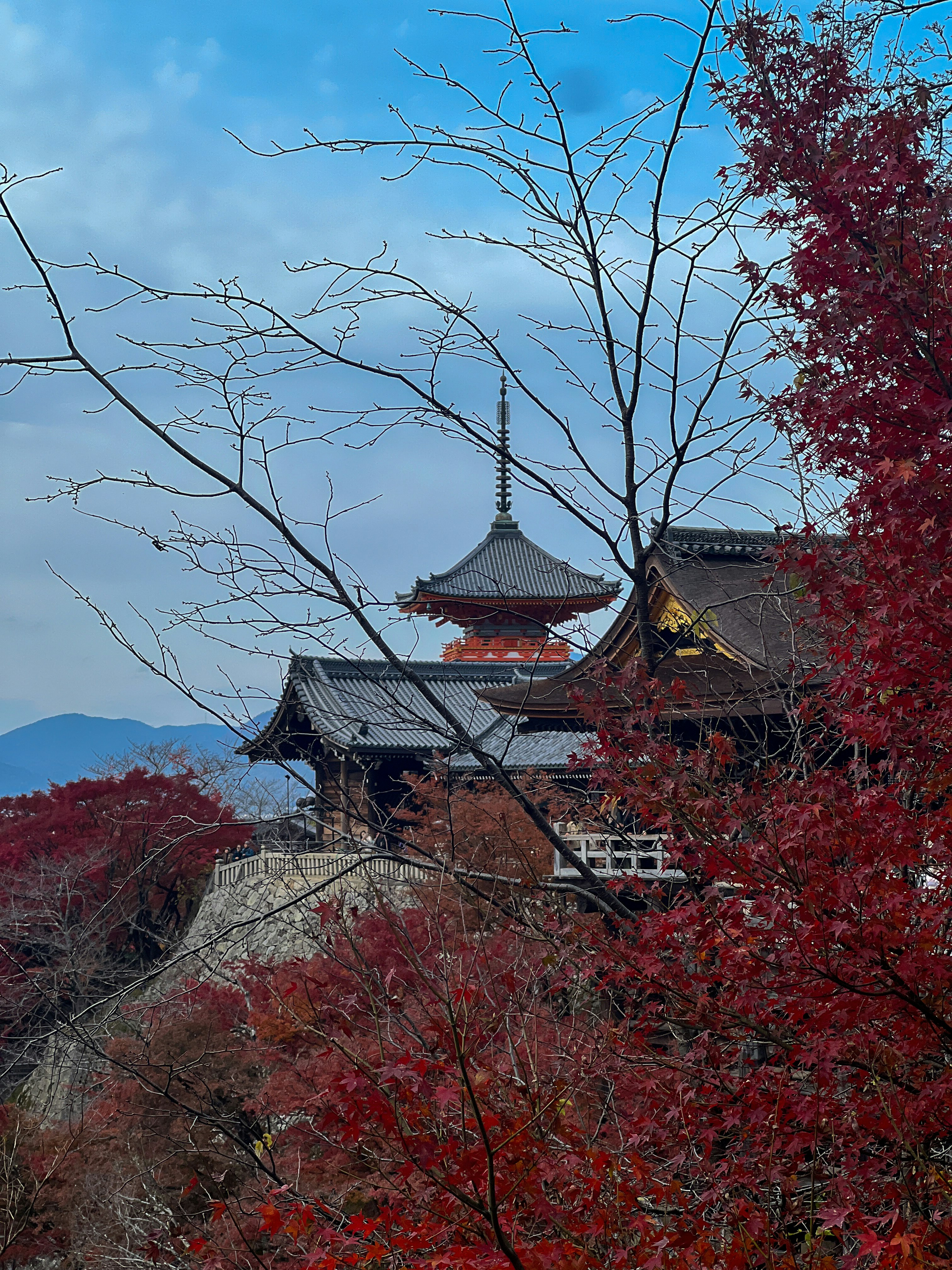 Crimson Canopy Framing a Serene Pagoda in Winter Light