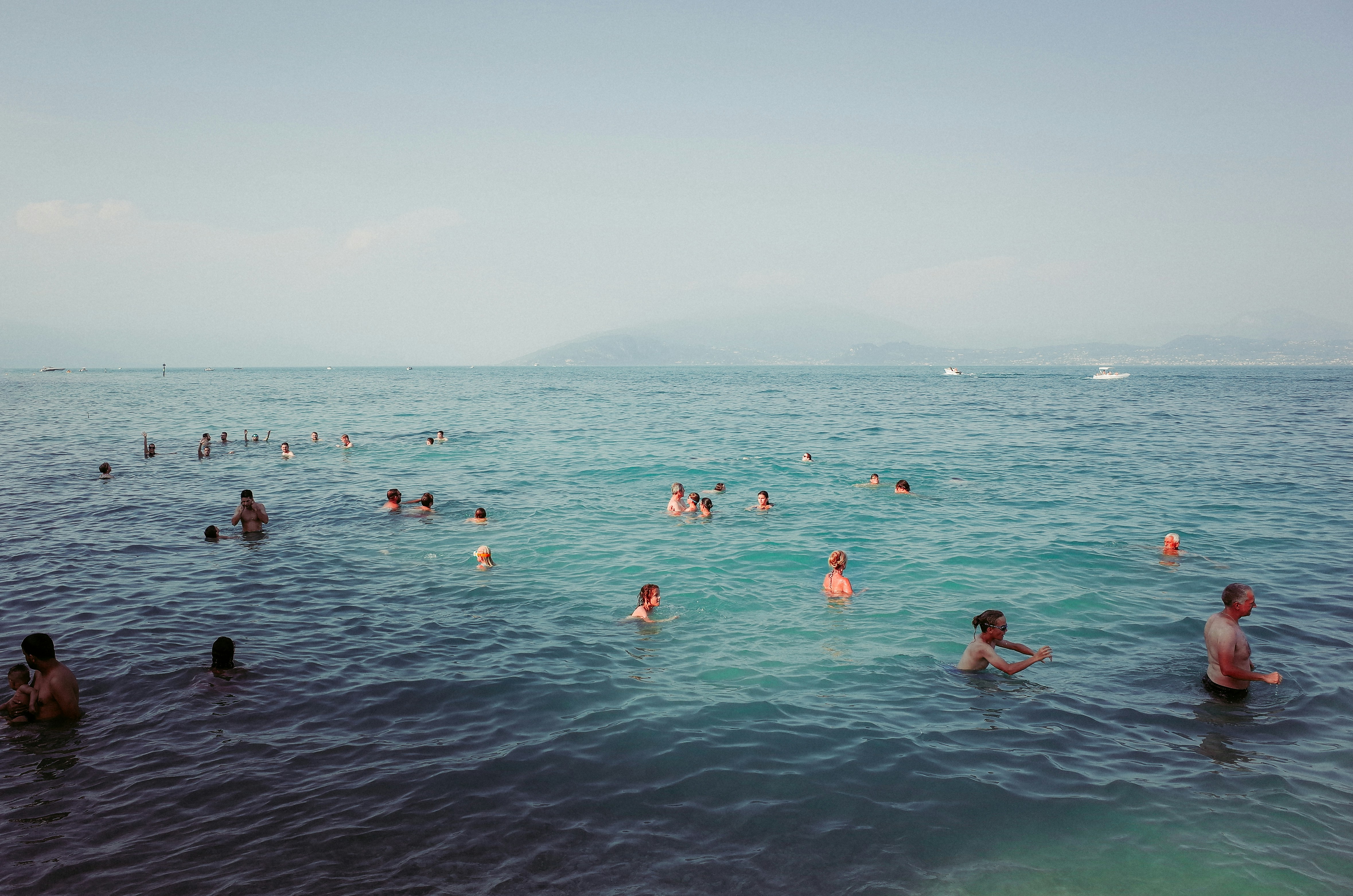 Teal Sea Parade: Sunlit Swimmers and a Faint Mountain Horizon
