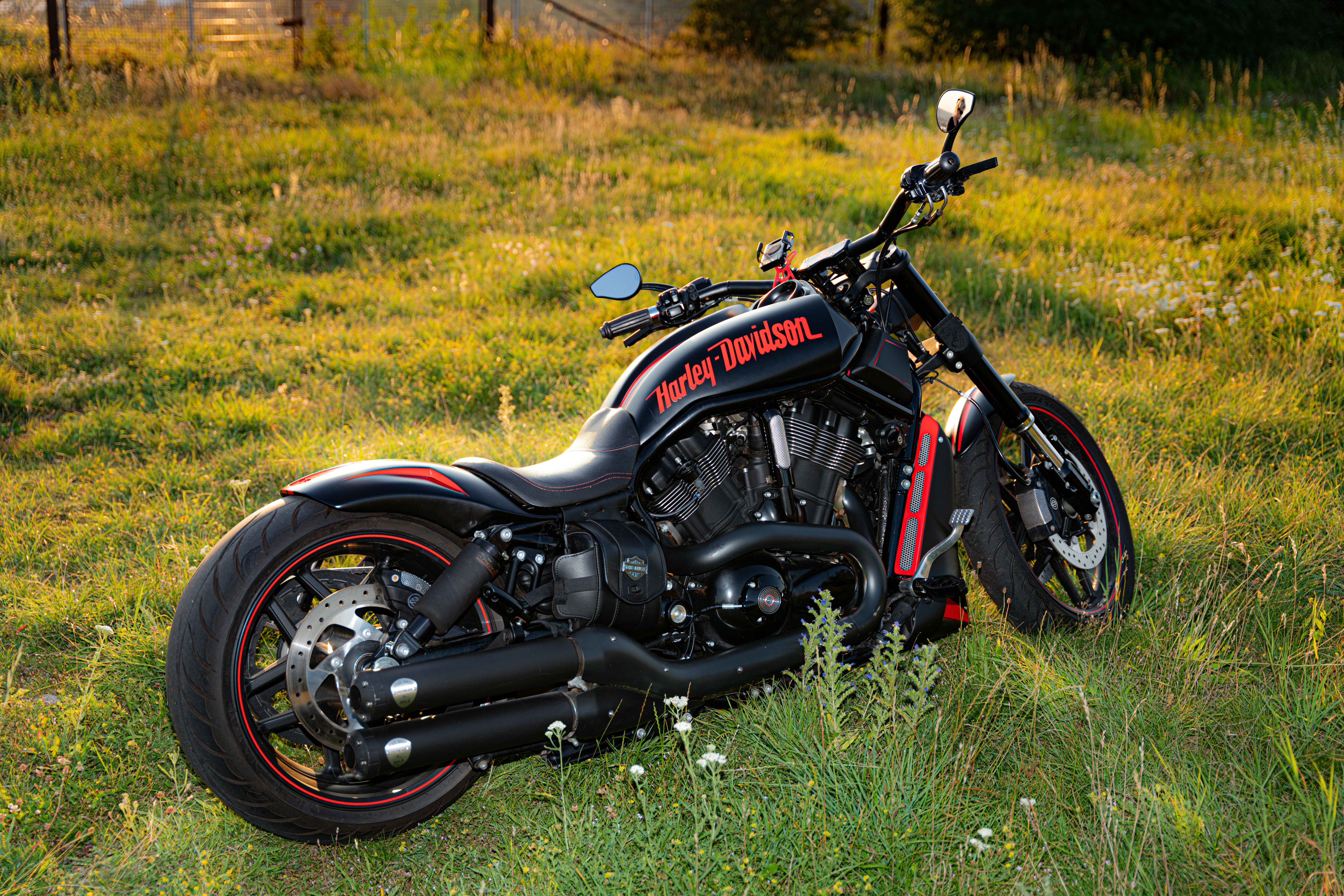 Harley Davidson motorcycle parked in a sunlit grassy field, showcasing its sleek design and powerful stance. The vibrant colors and detailed craftsmanship stand out against the natural backdrop.