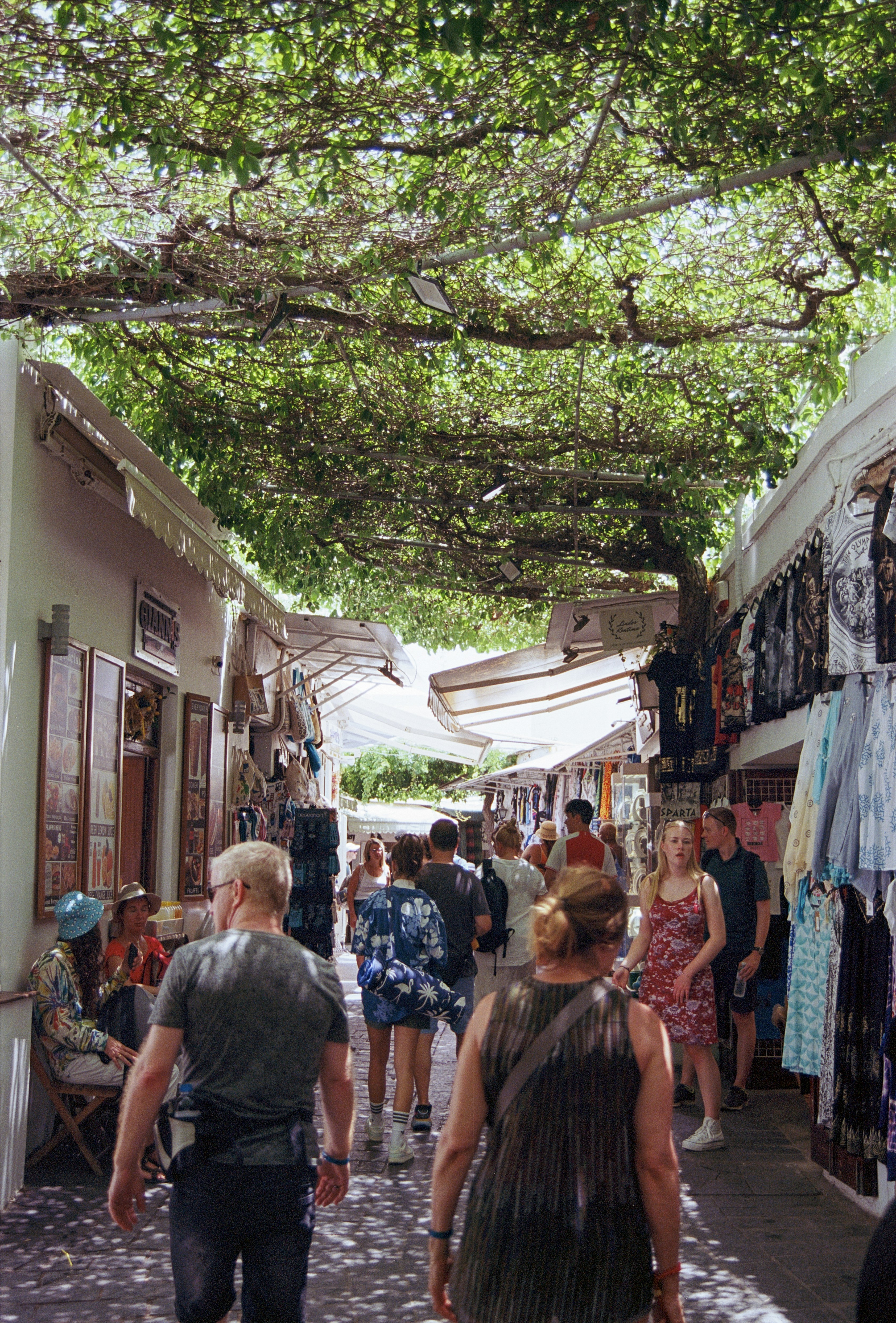 Photo by Artists Eyes with Plustek OpticFilm 8200i