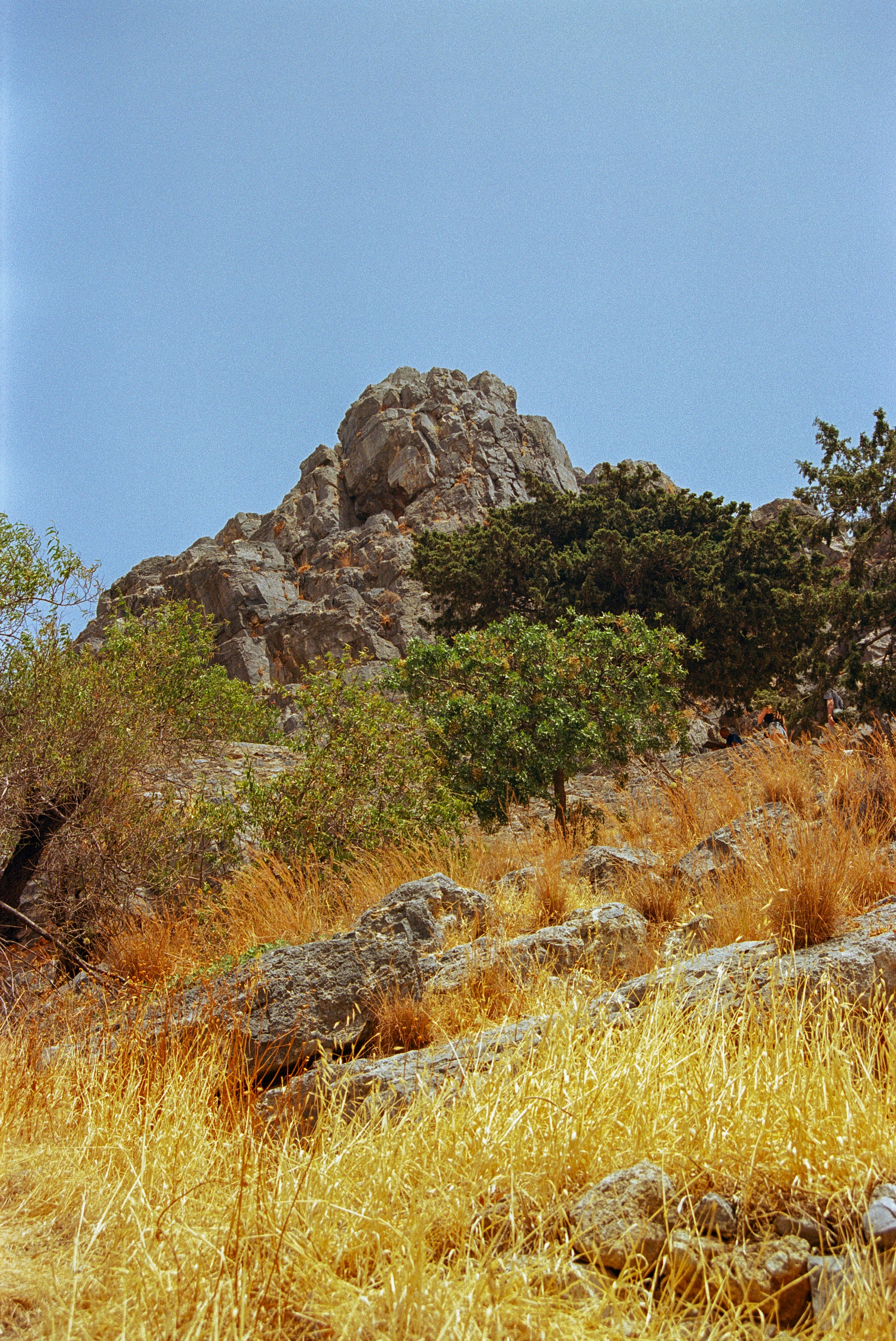 Stone Crown Over Golden Slope: A Sunlit Rock Outcrop