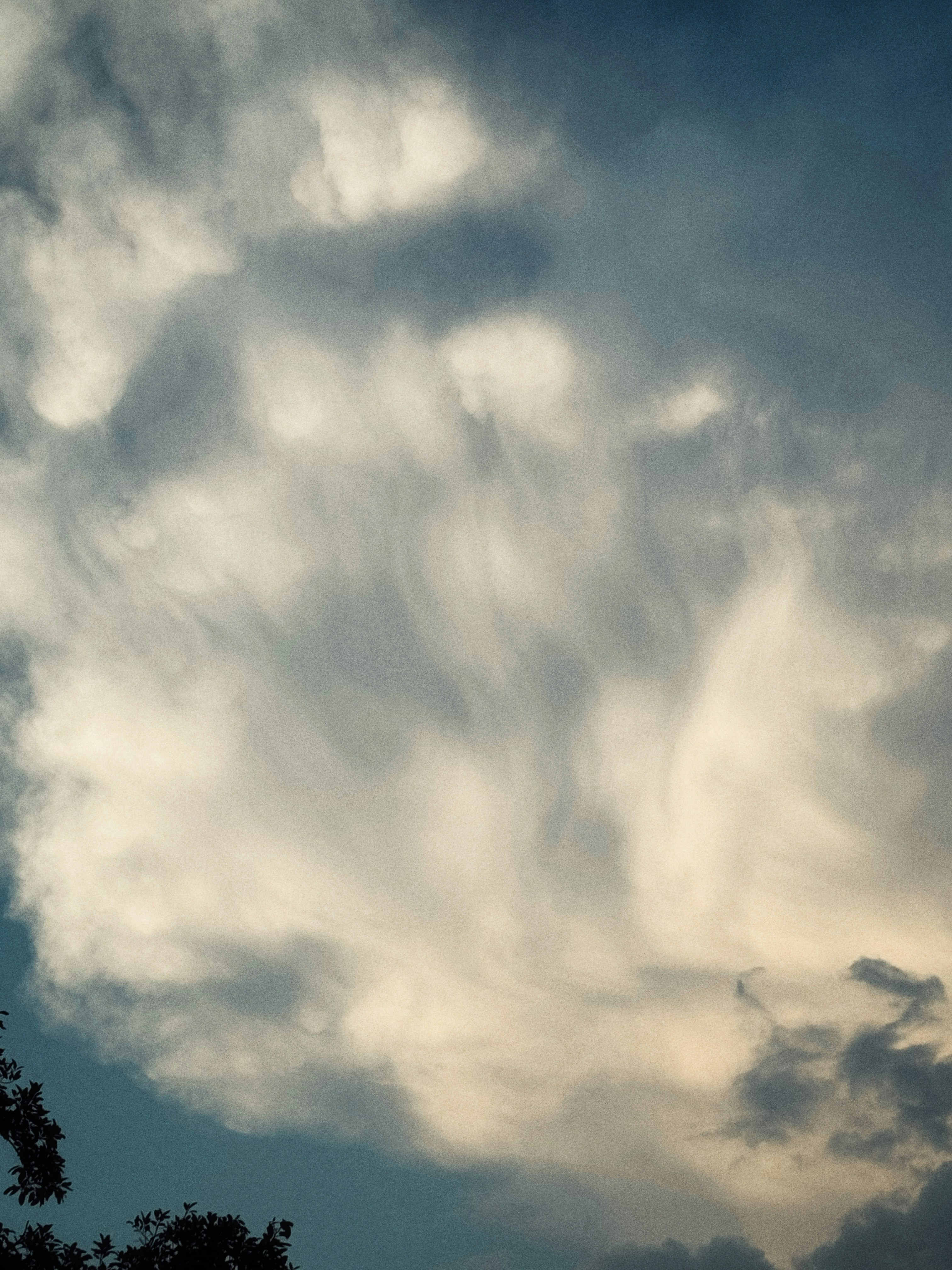 Whispers of the Sky