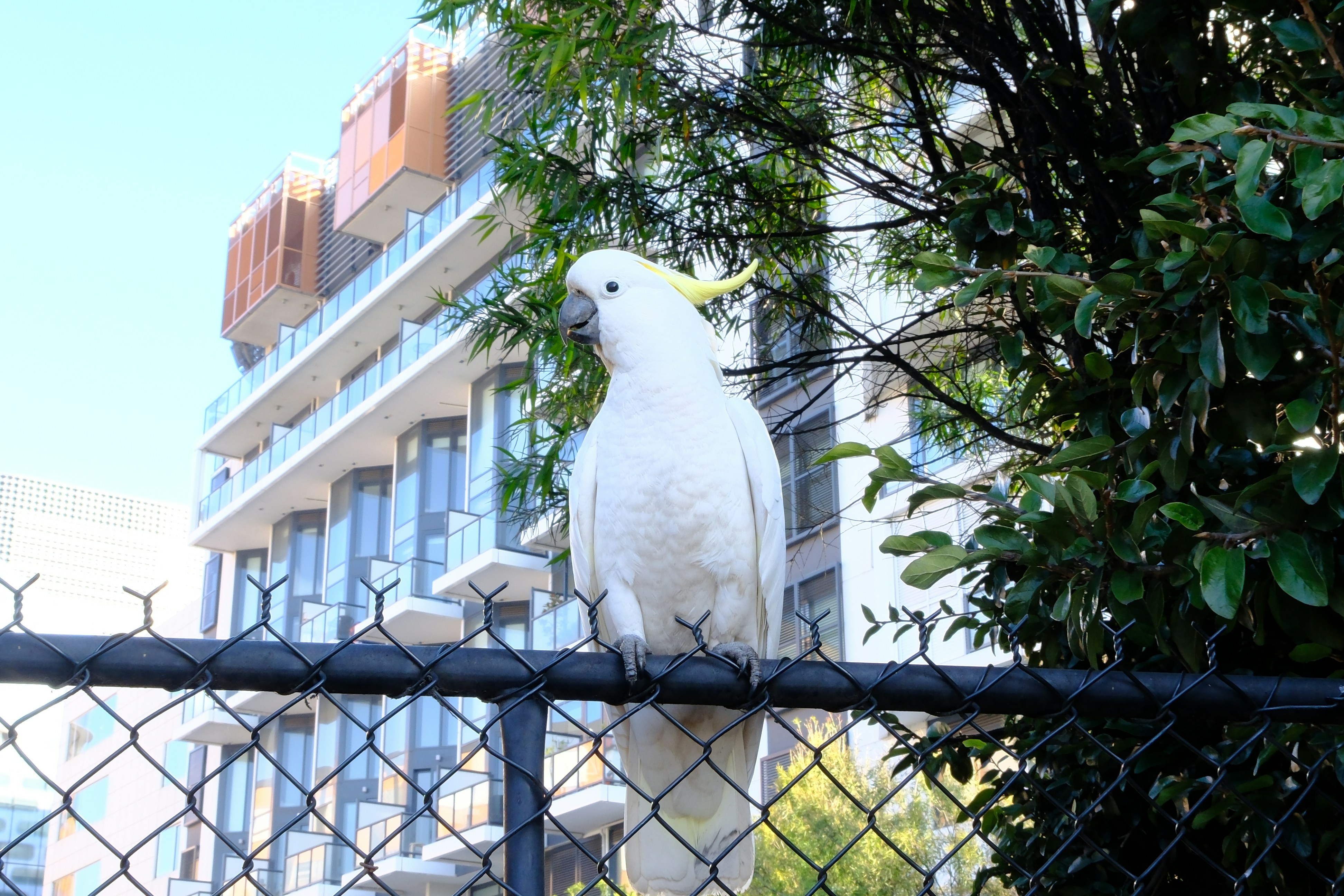 Photo by Walter Coppola with Fujifilm X-H2