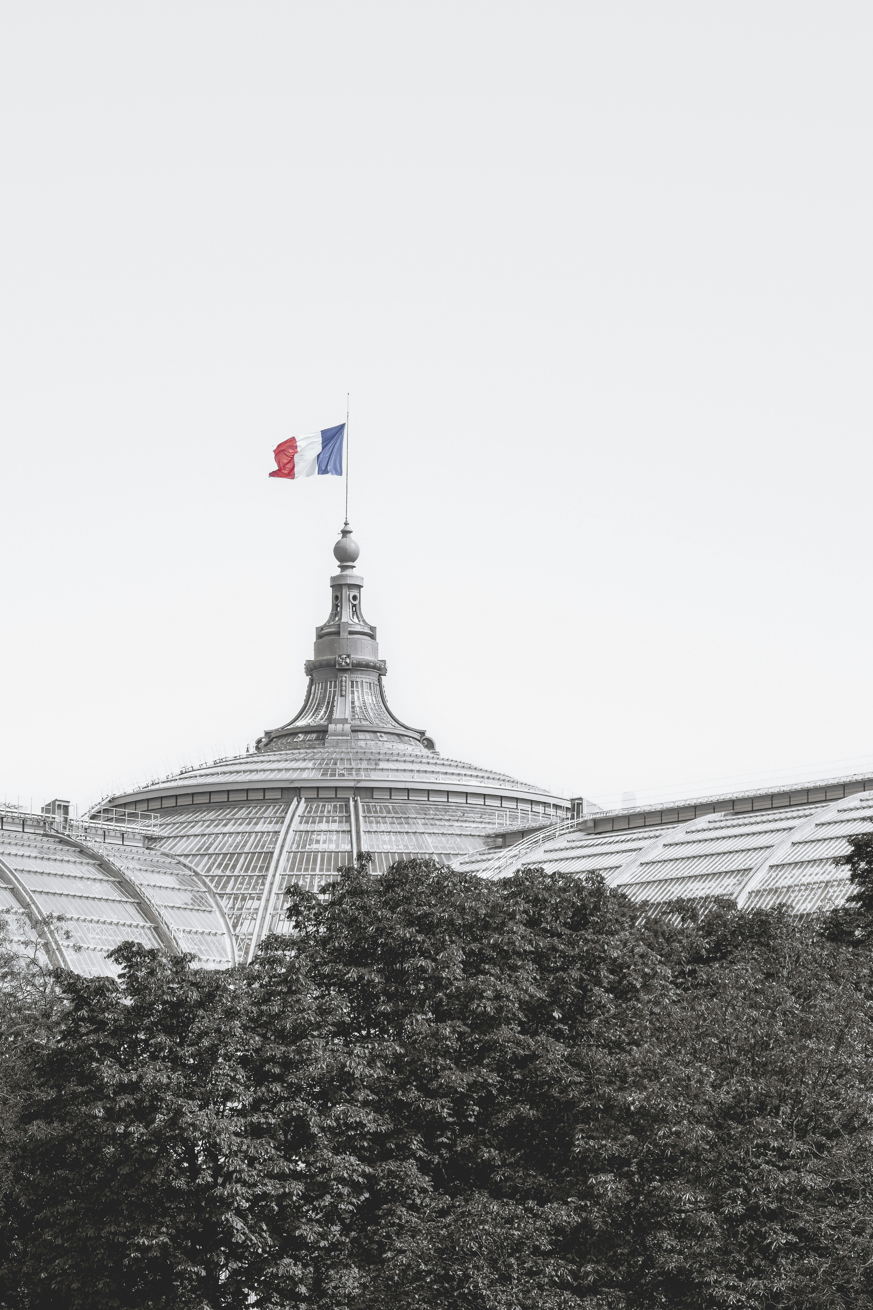 Photo by Lee Jeffs with Panasonic Lumix FZ1000