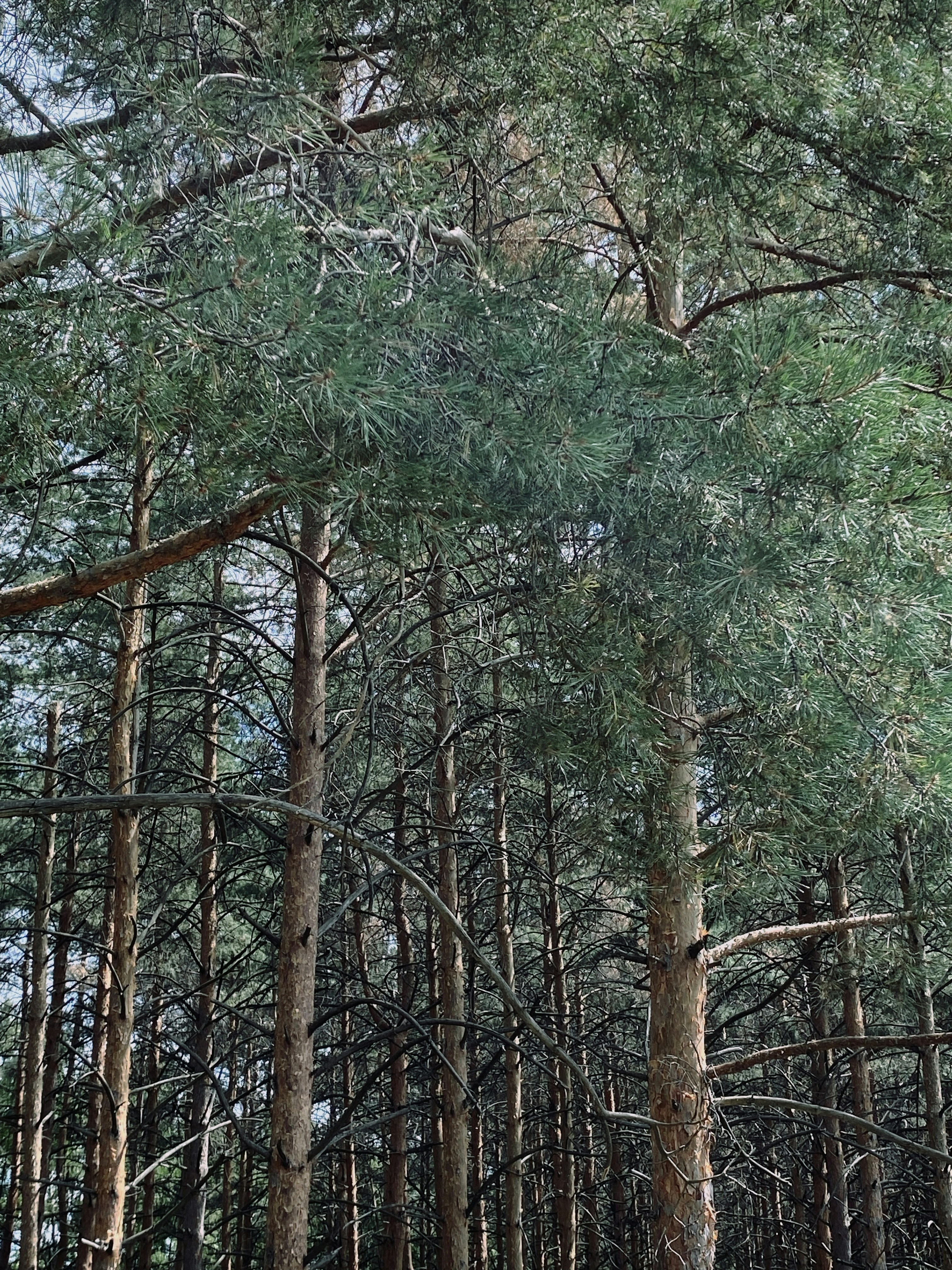 Photo by Darina Kazmina with Apple iPhone 11