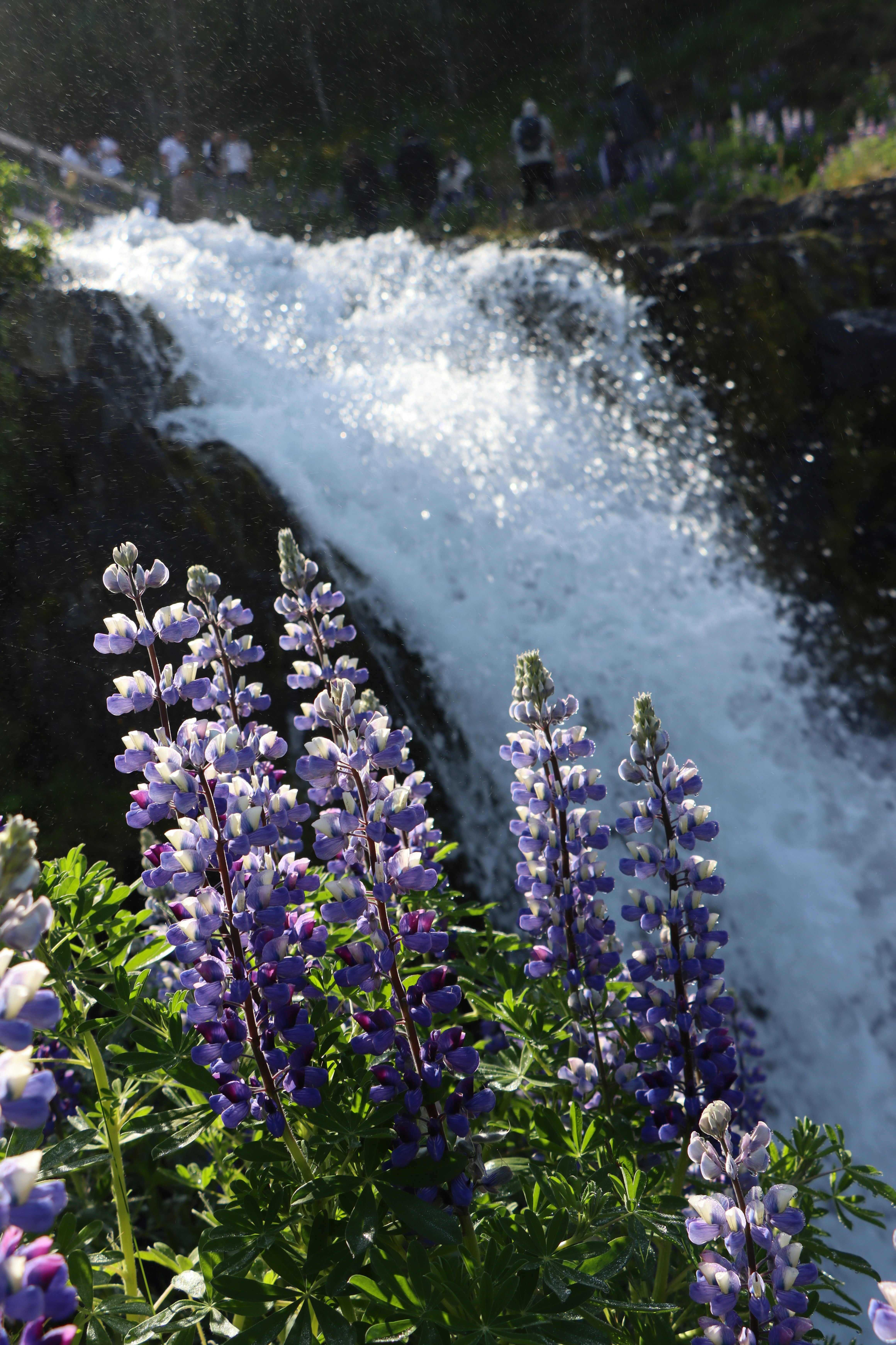 A group of people standing next to a waterfall photo – Free ...