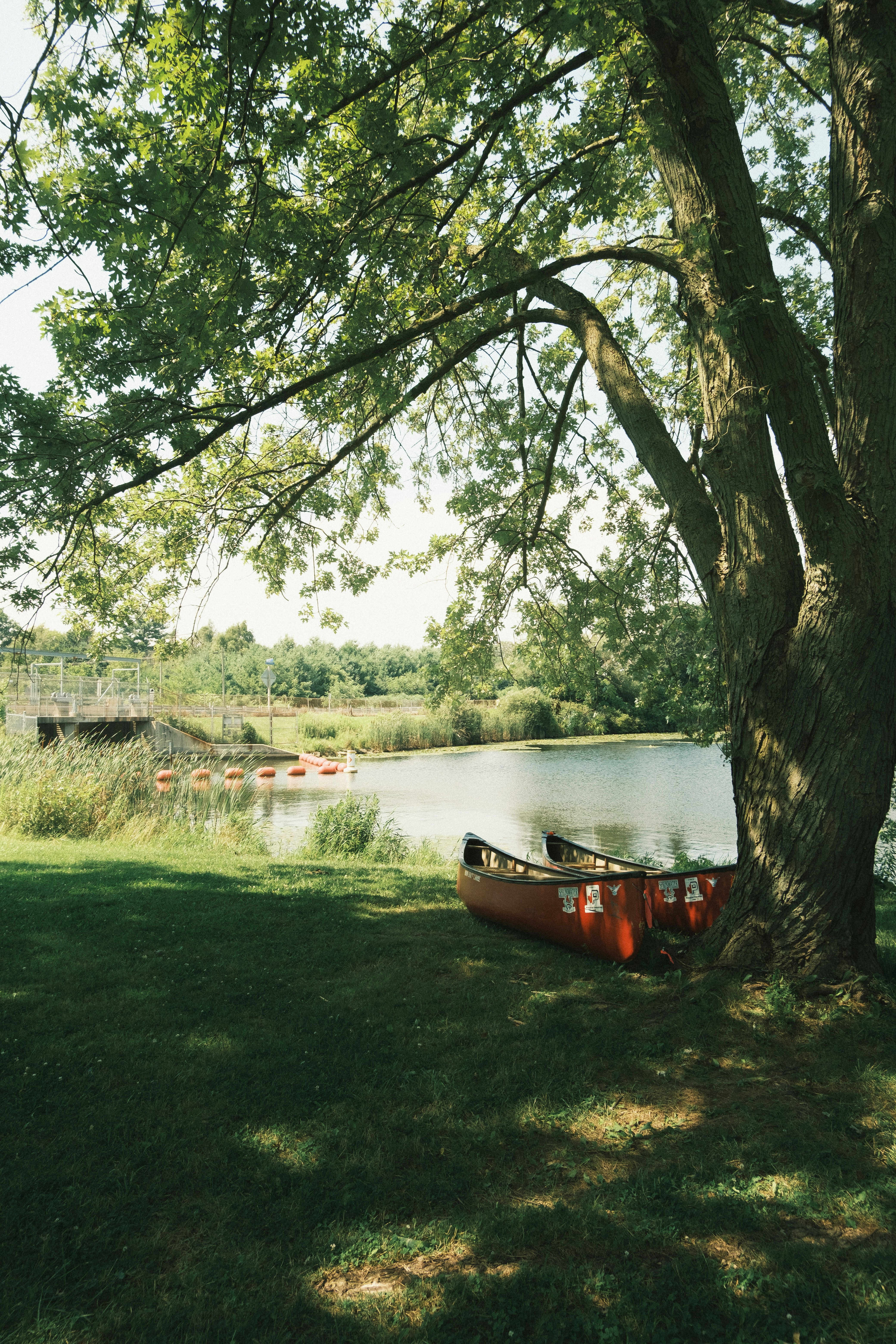 Serenity by the Water's Edge