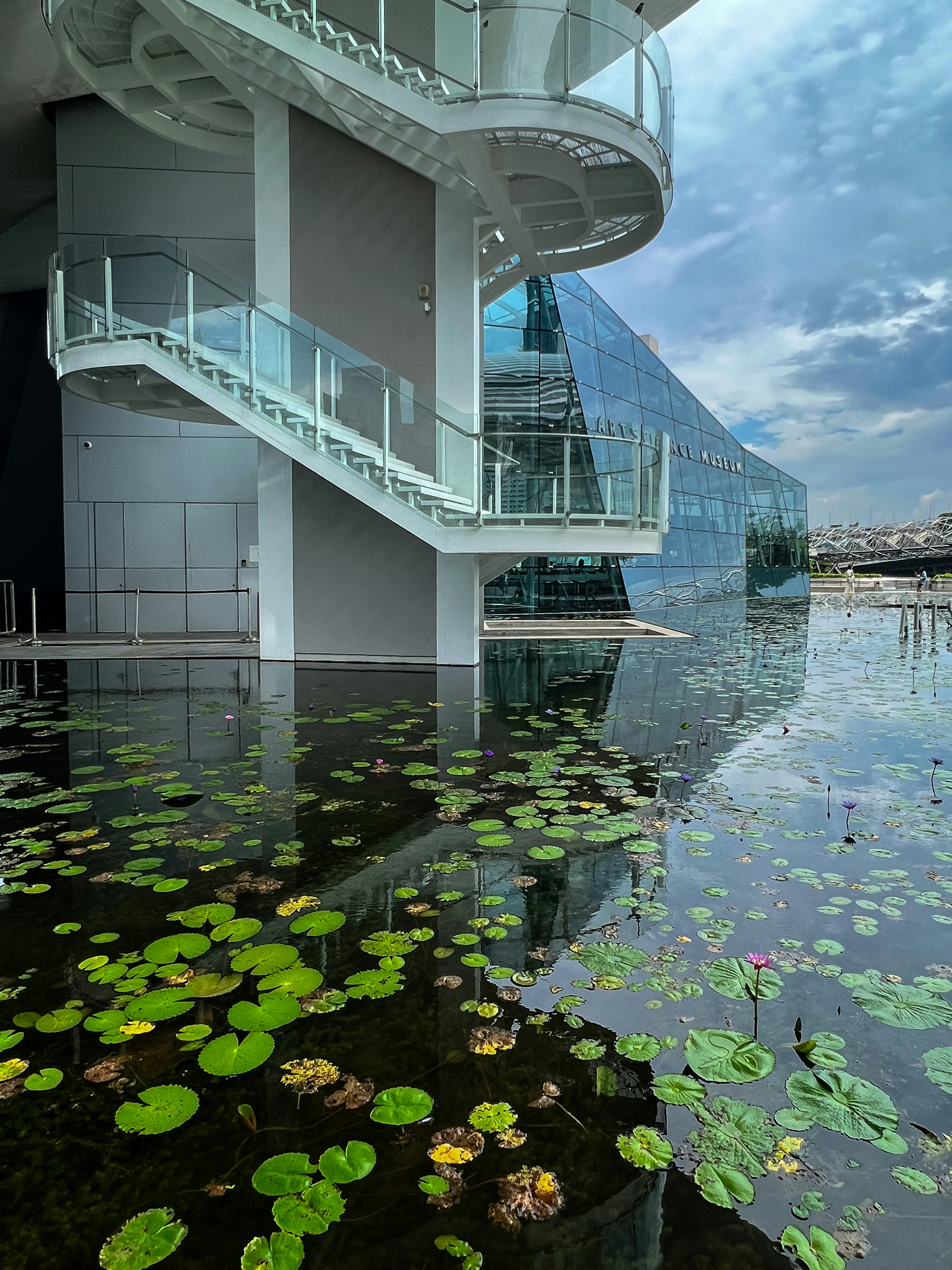 Spiral Staircase Anchors a Glass Atrium Over a Lily-Pad Pond