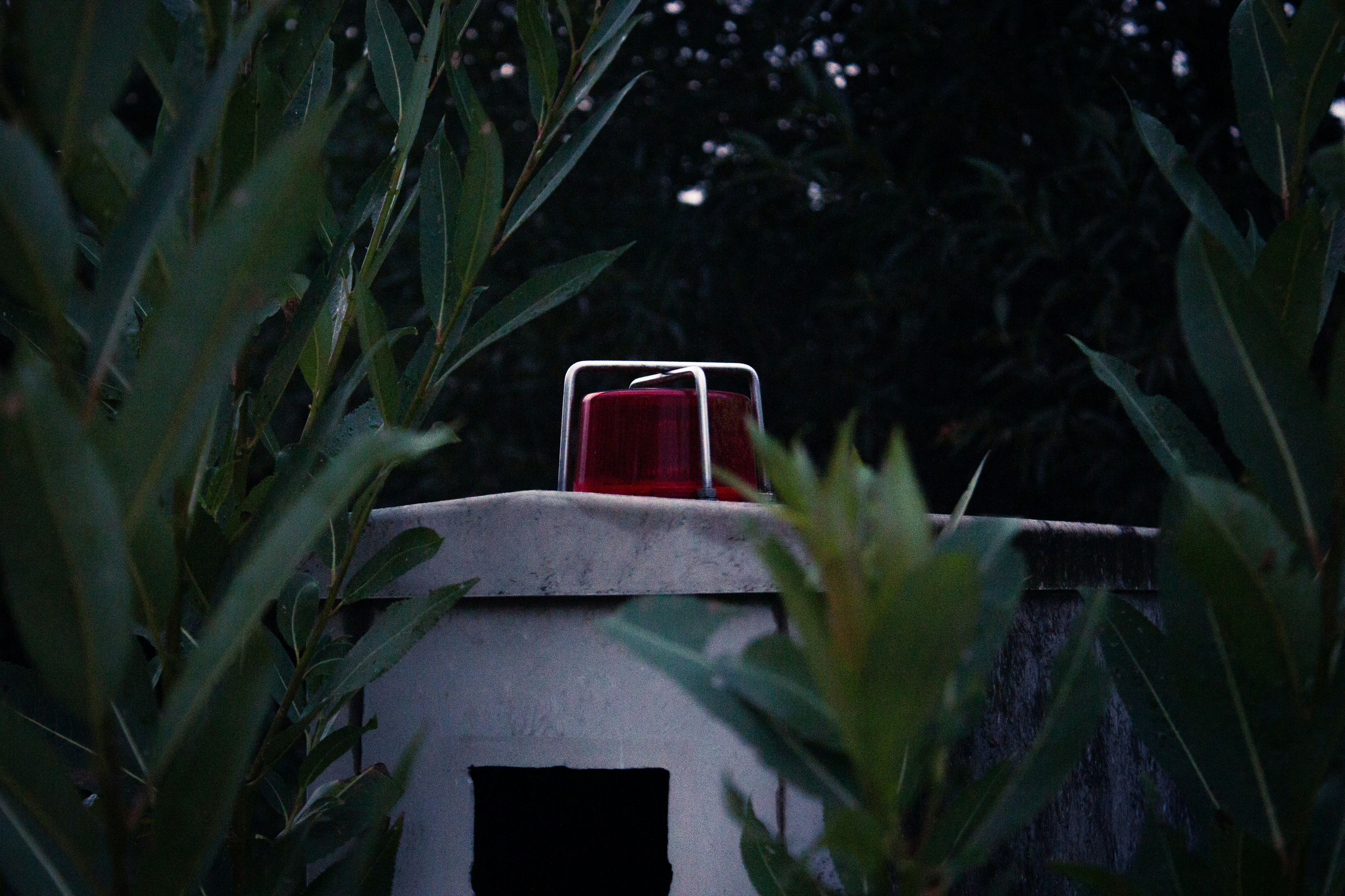 Red Beacon Rising from Weathered Concrete, Framed by Dense Foliage