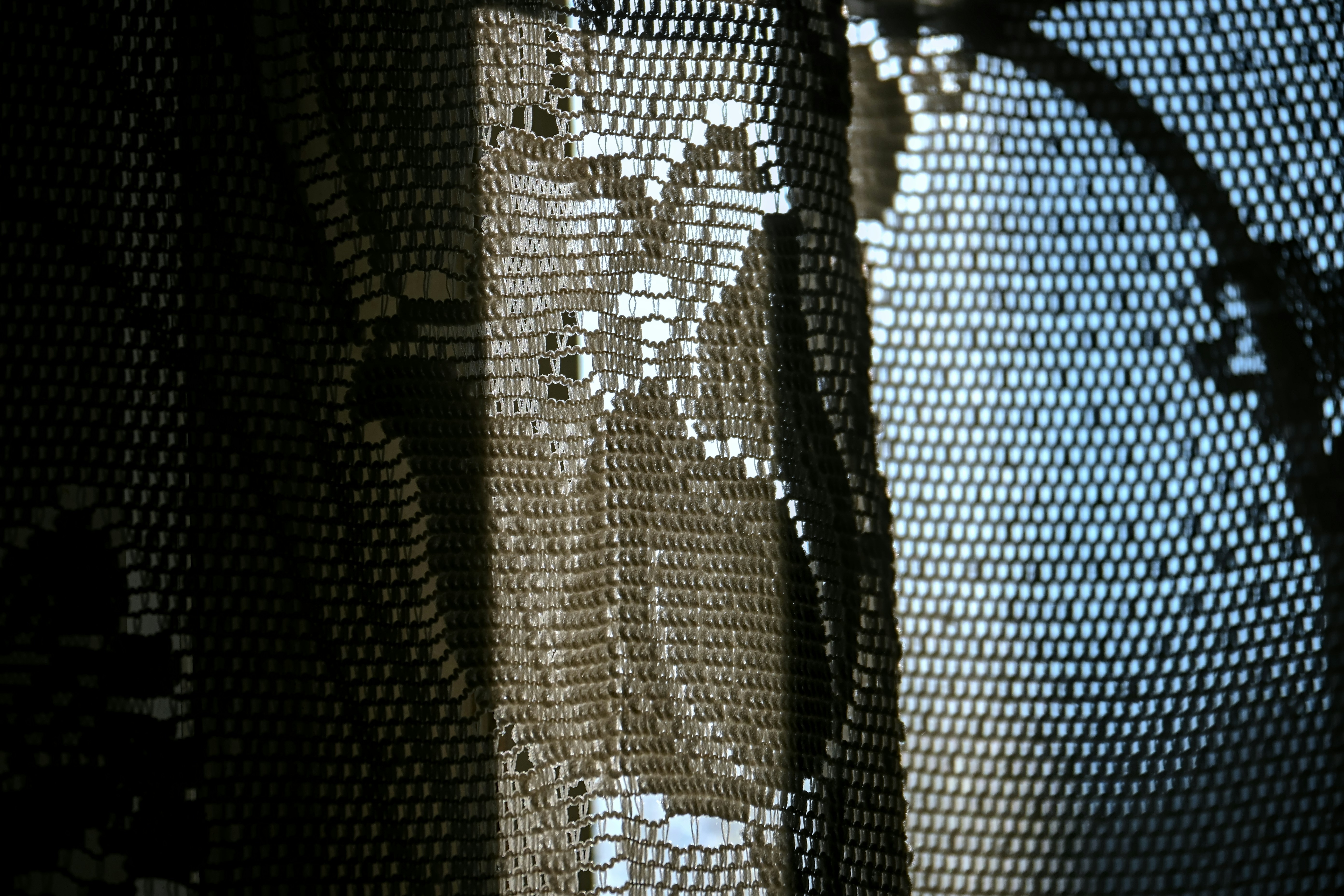 Whispers of Light Through Lace