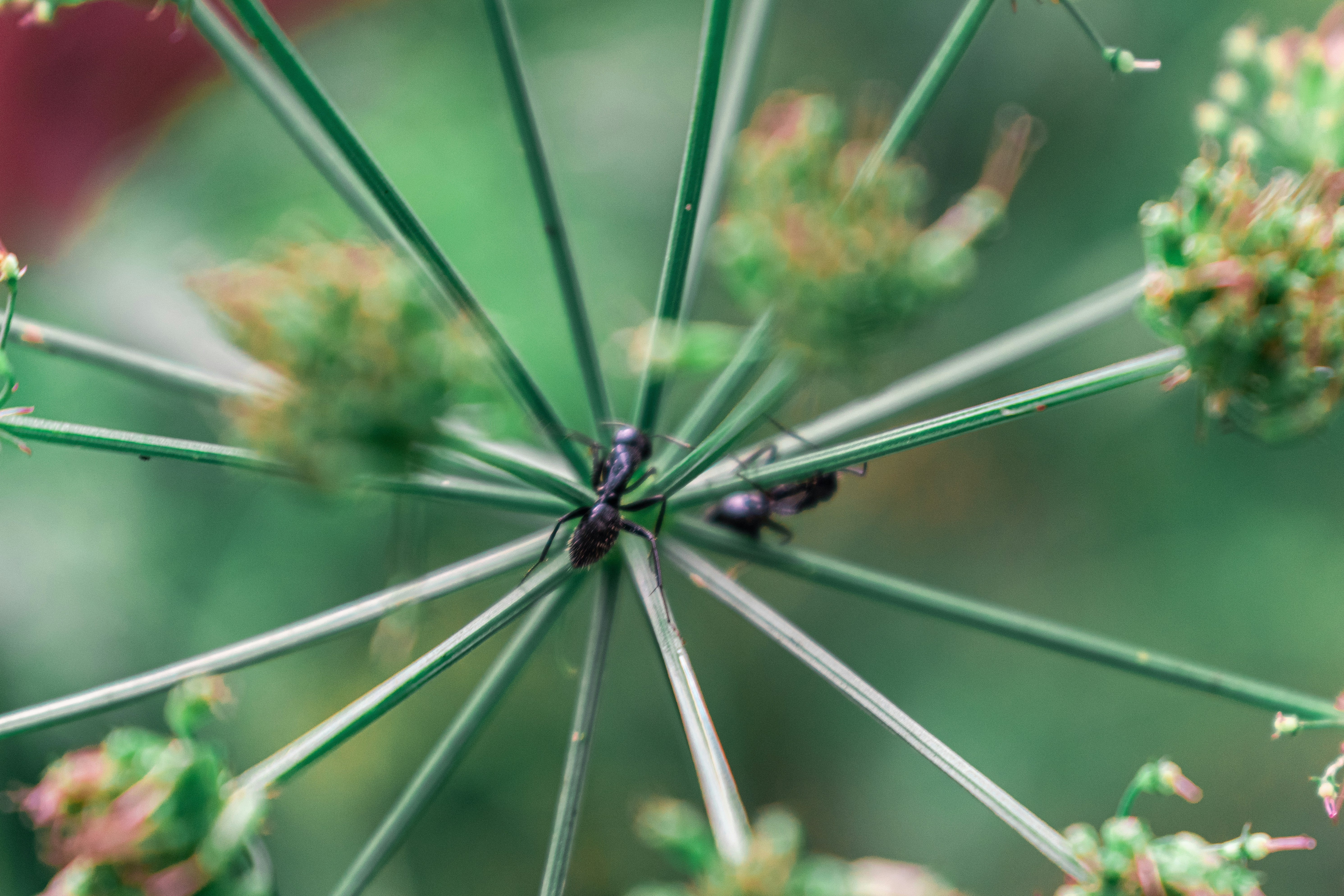 Photo by Vadym Alyekseyenko with Nikon D5500