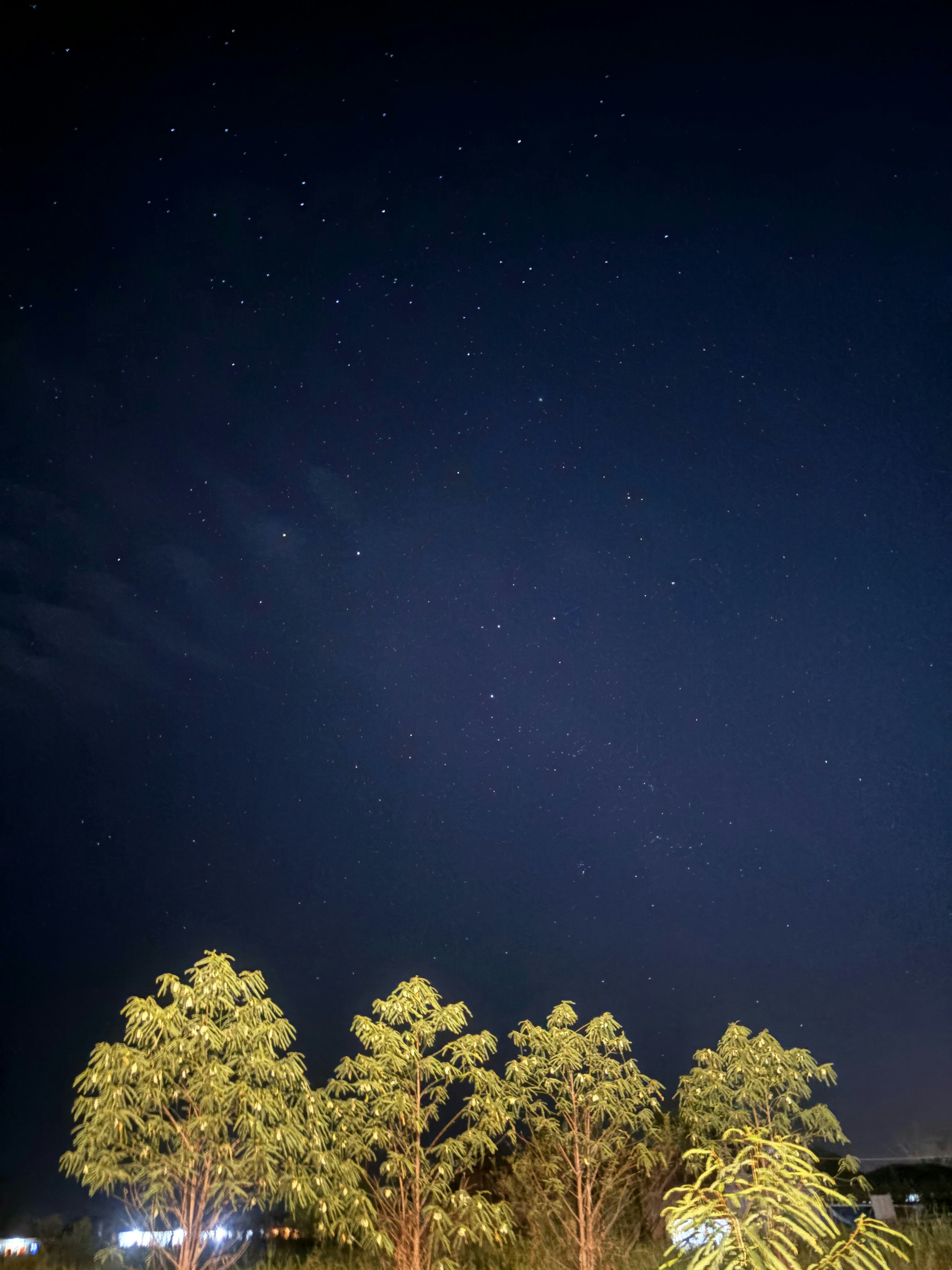Star-filled night sky above a row of trees softly illuminated by warm ground lighting.