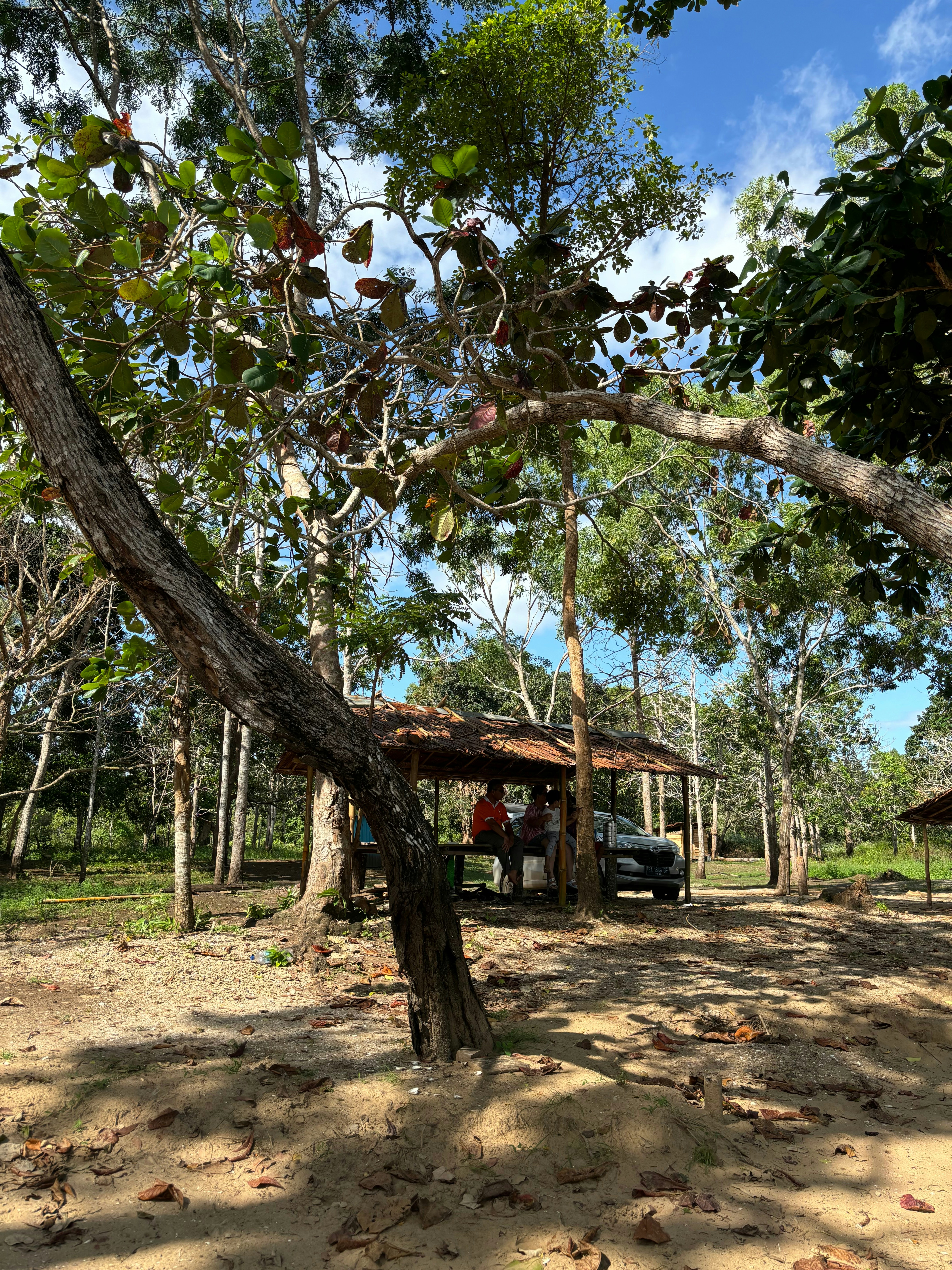 Photo by Agatha Terencia with Apple iPhone 15 Plus