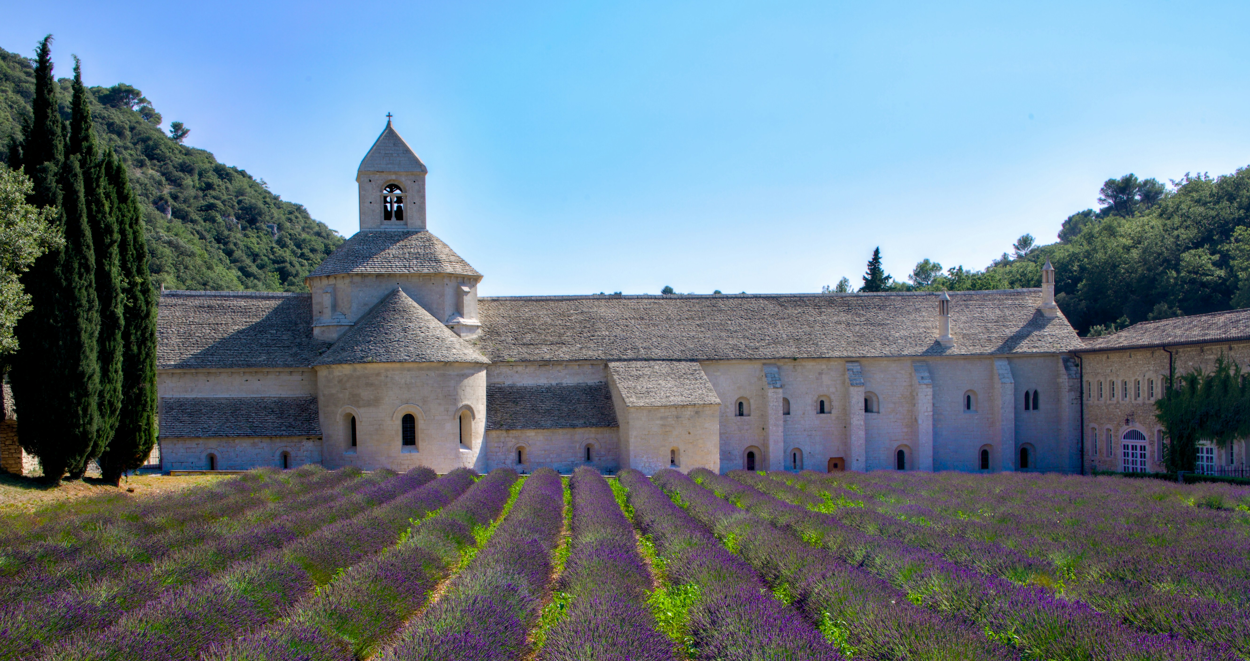 A large building surrounded by a field of lavender photo – Free France ...