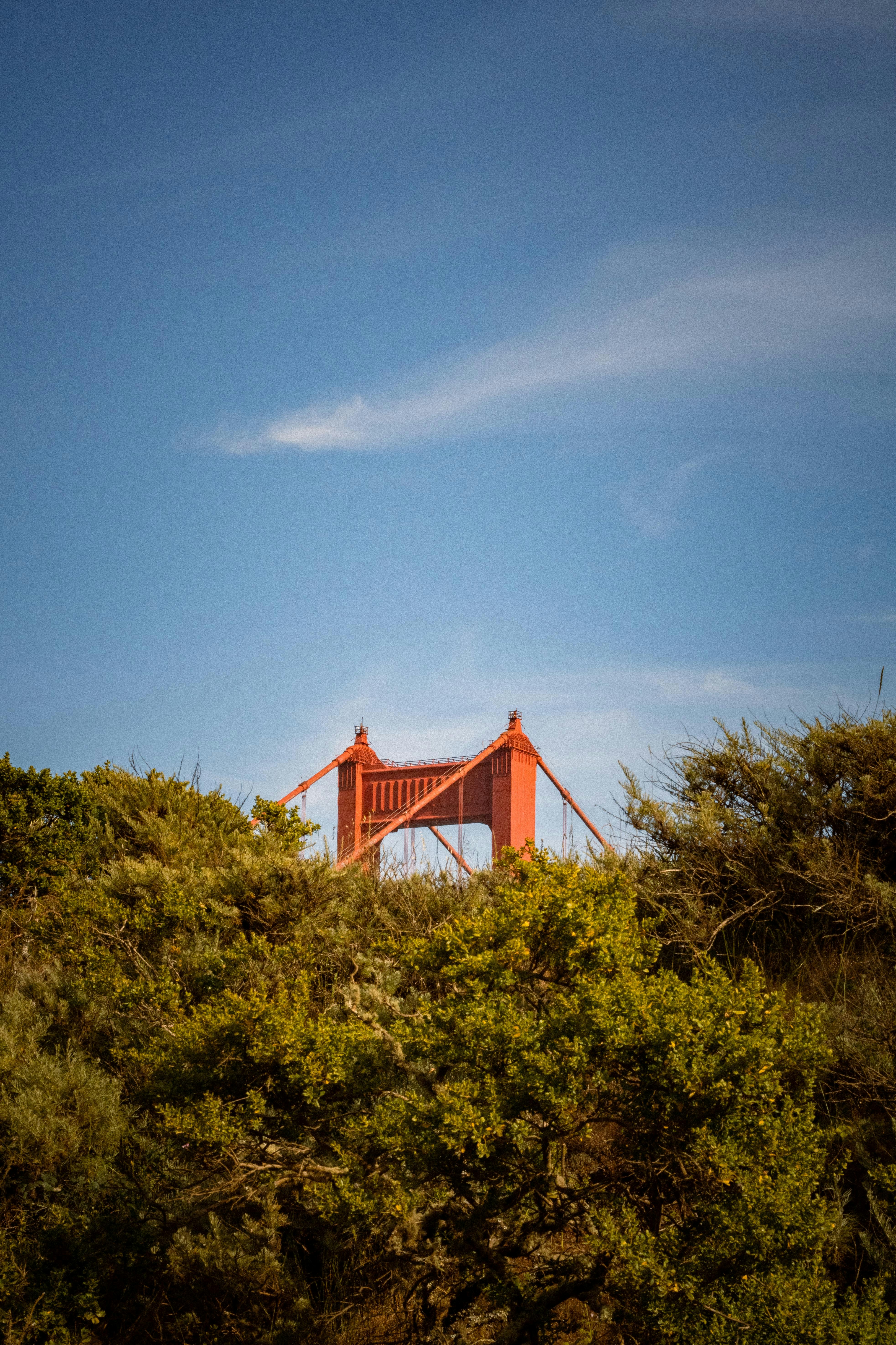Red Suspension Tower Peeking Through Green Canopy Under a Bright Sky