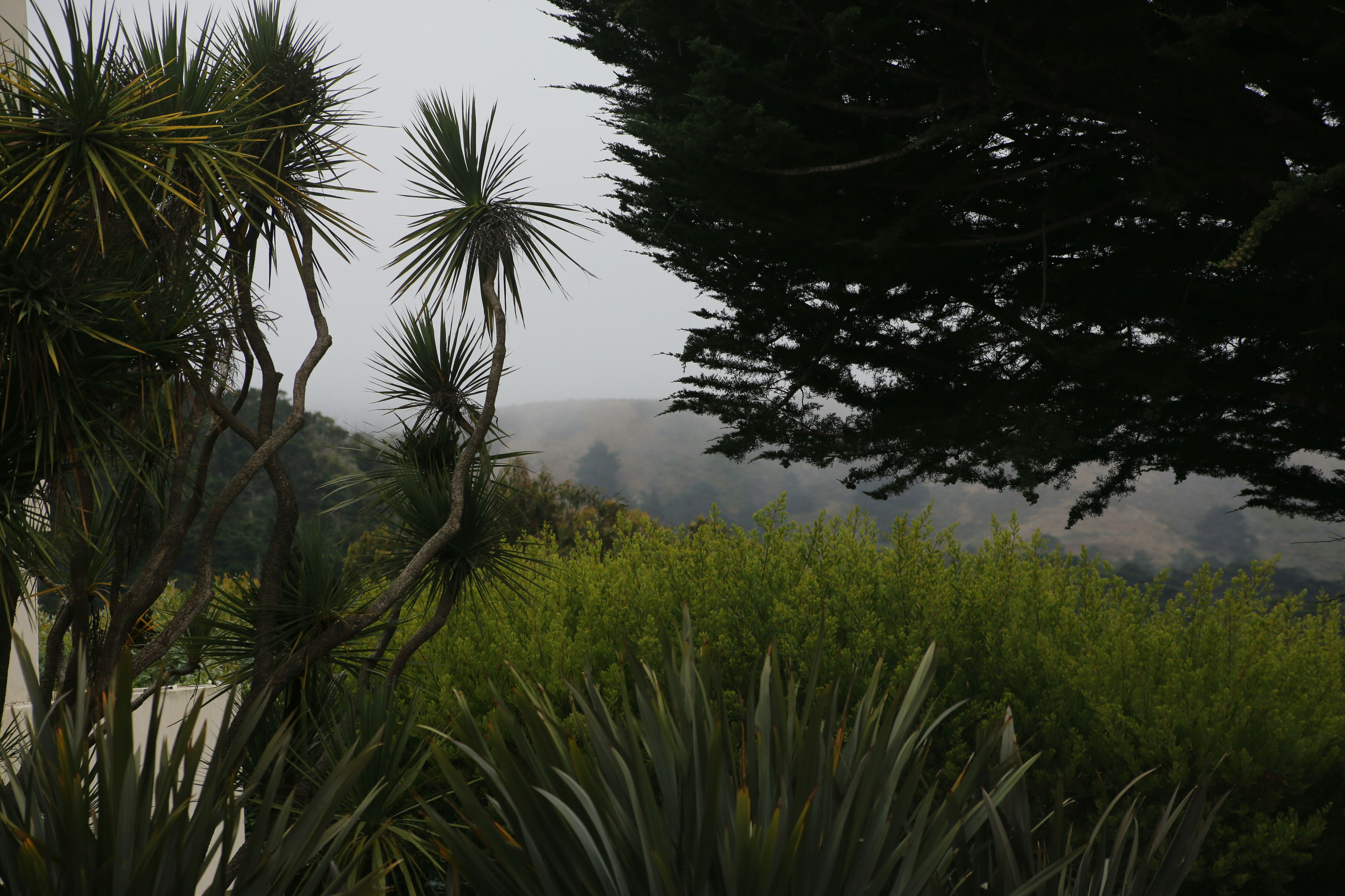 A stop sign in front of some trees and bushes photo – Free Forest Image ...