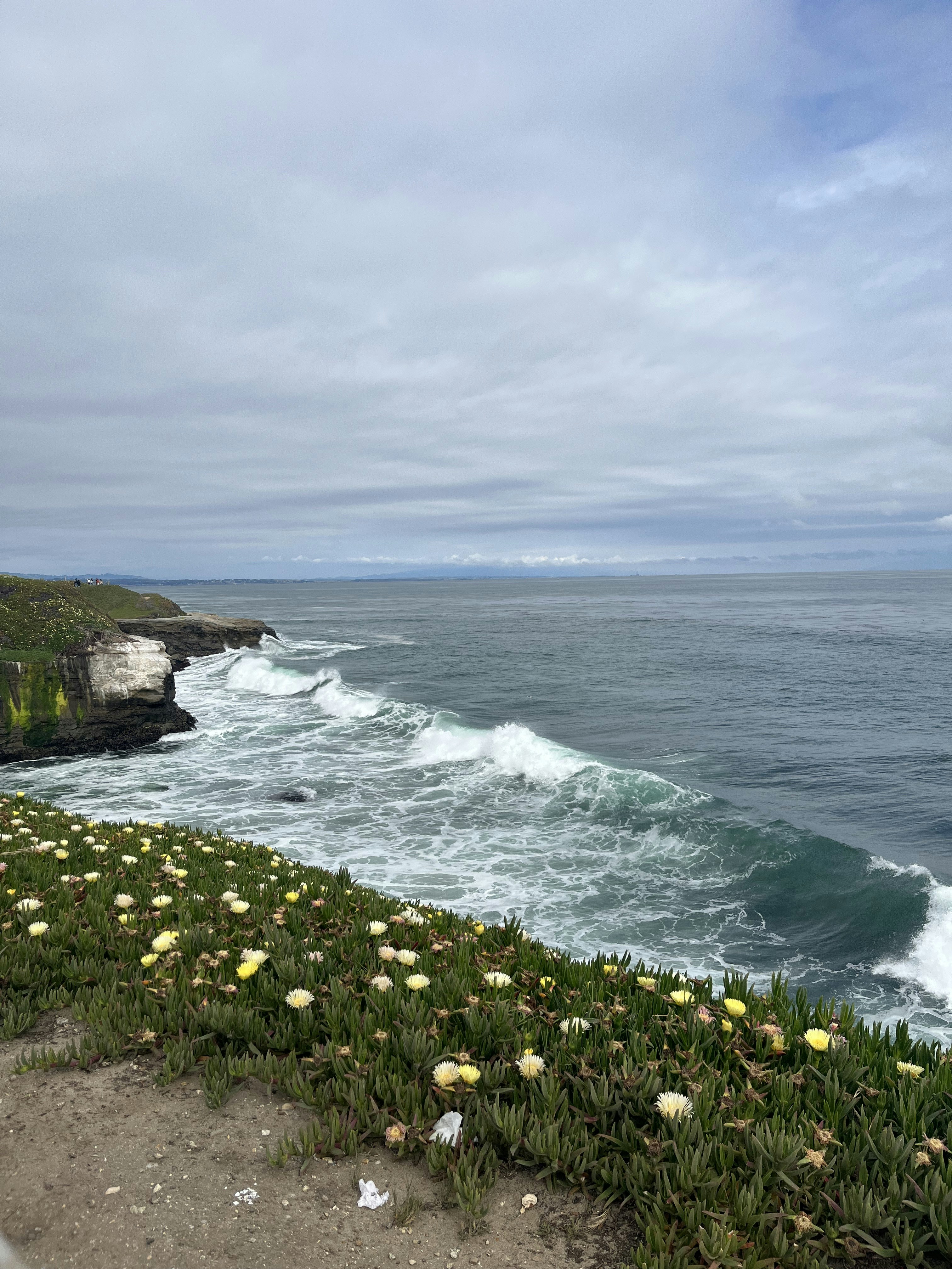 A view of the ocean from the top of a hill