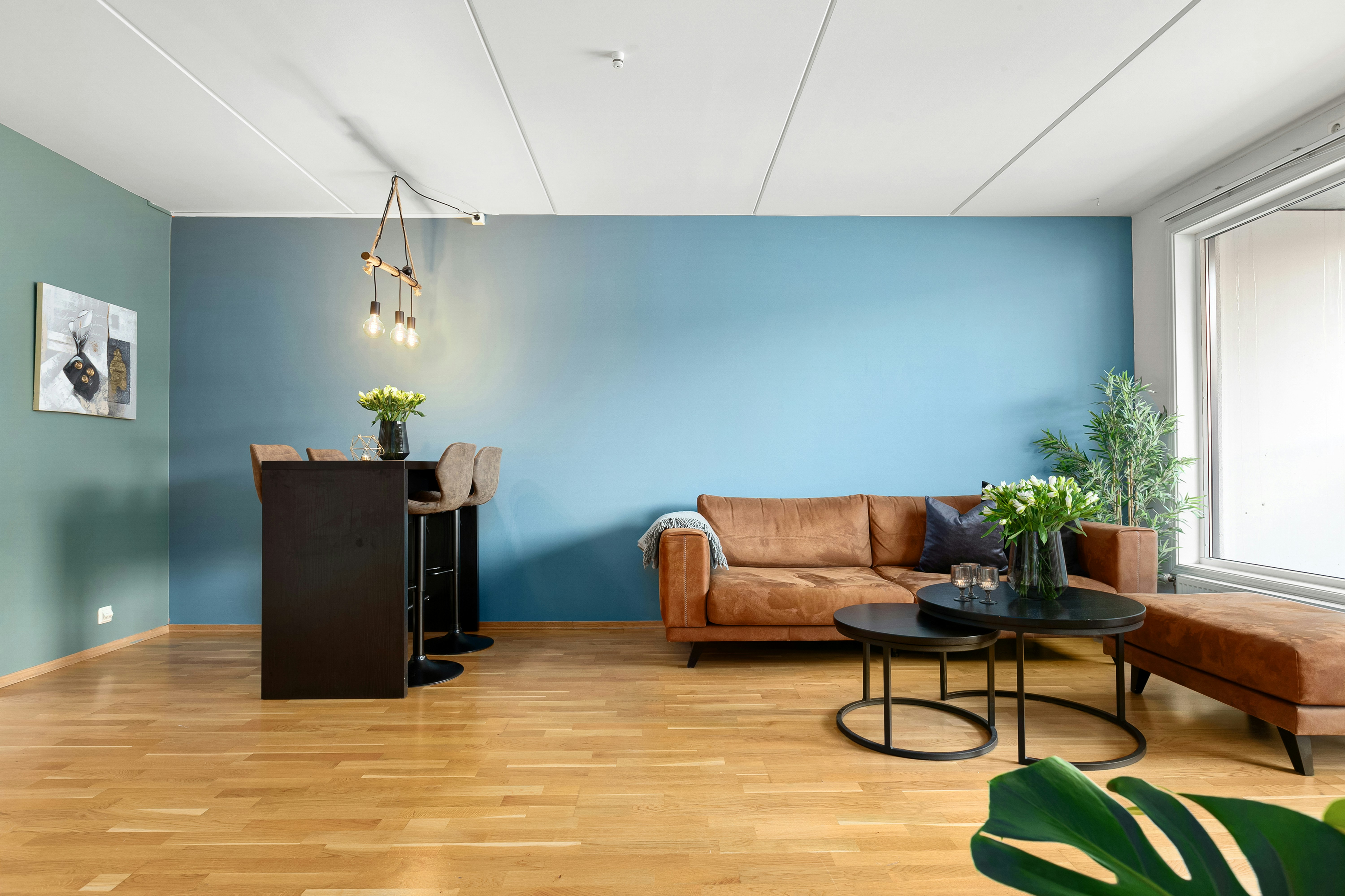 A living room with blue walls and wooden floors photo – Free Plant ...