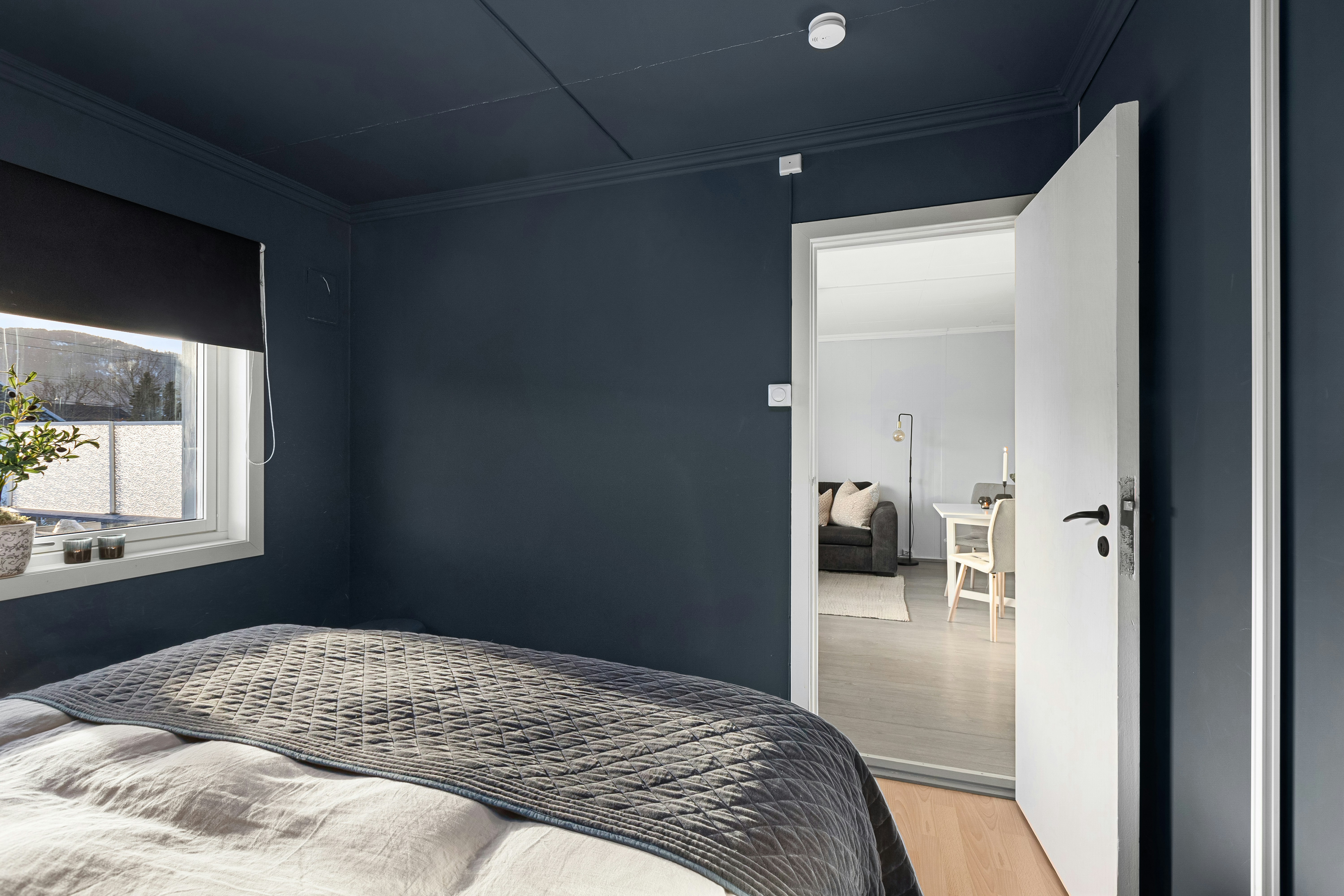 A bedroom with blue walls and a bed photo – Free Interior design Image ...