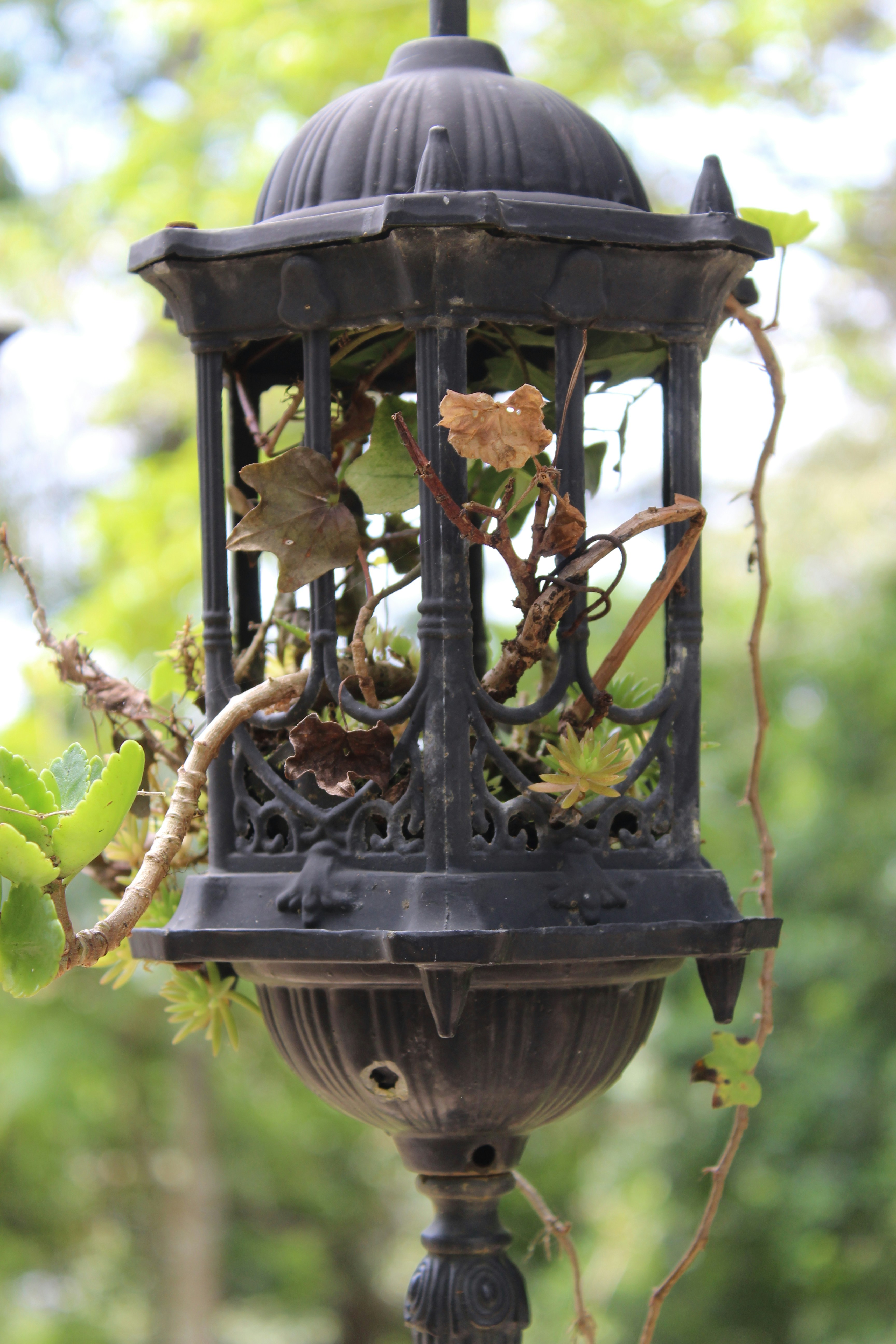 Photo by Julia Perera with Canon EOS 4000D